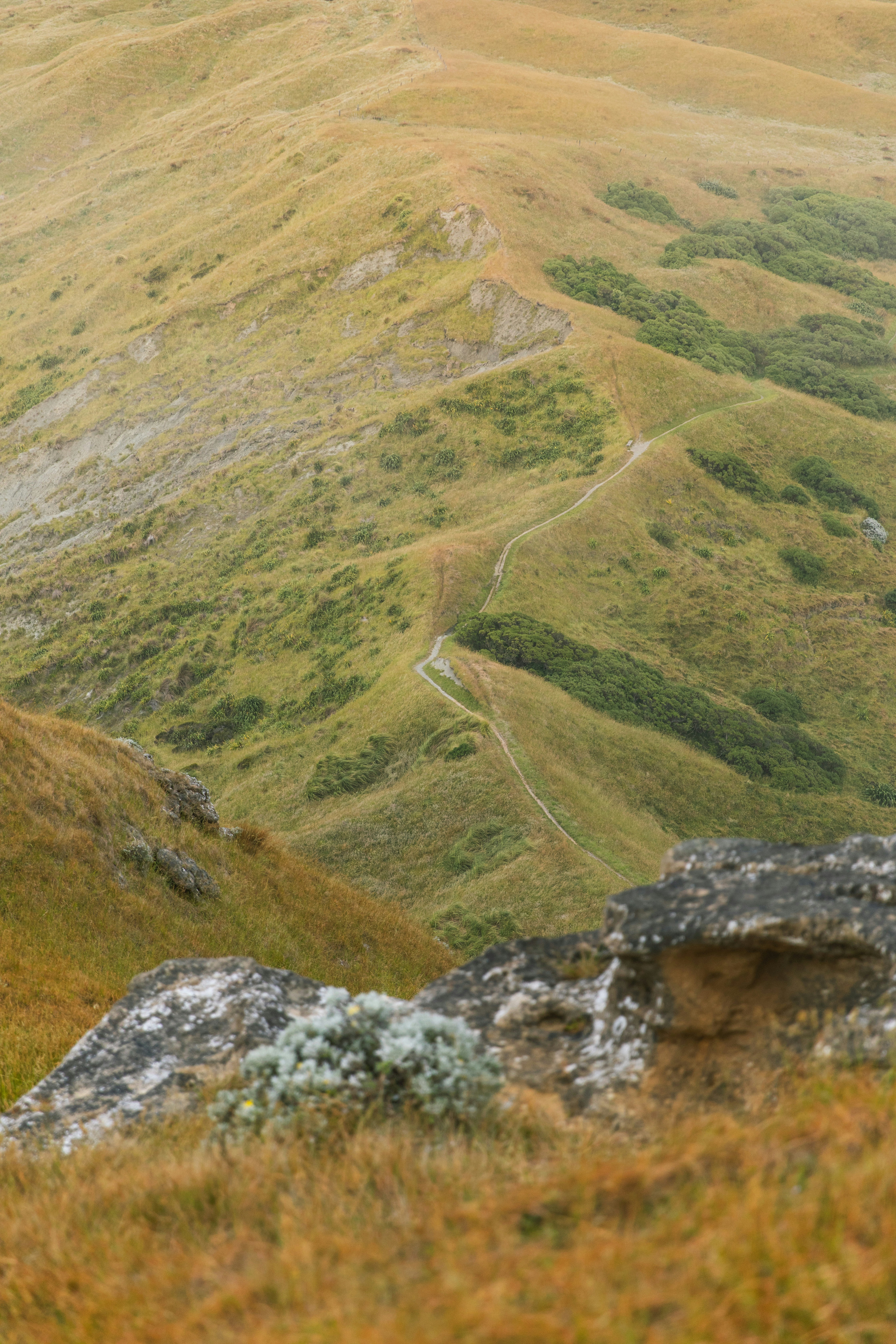 Winding Path Across Golden Hills