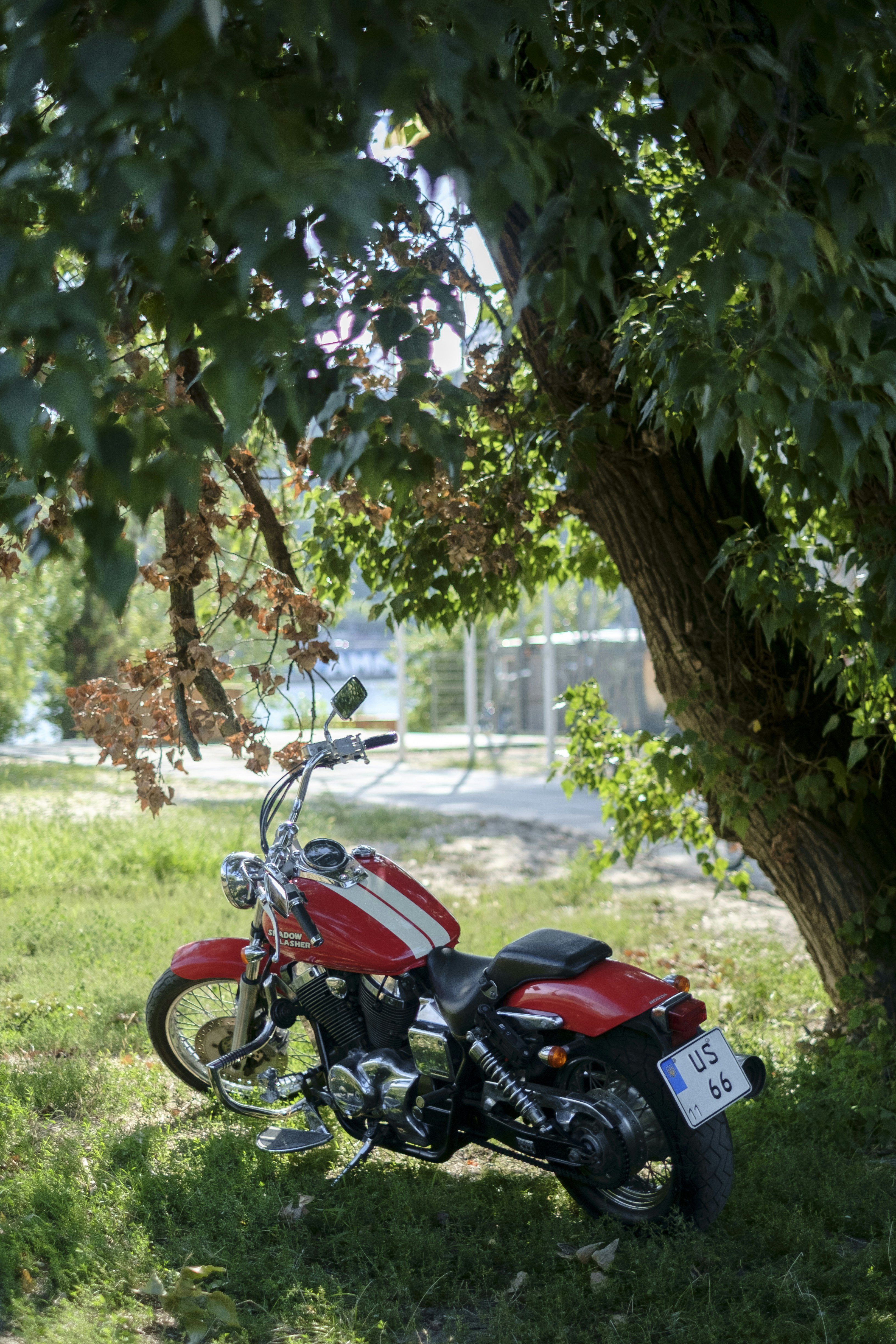 Red Classic: Sunlit Motorcycle Resting Under a Generous Shade