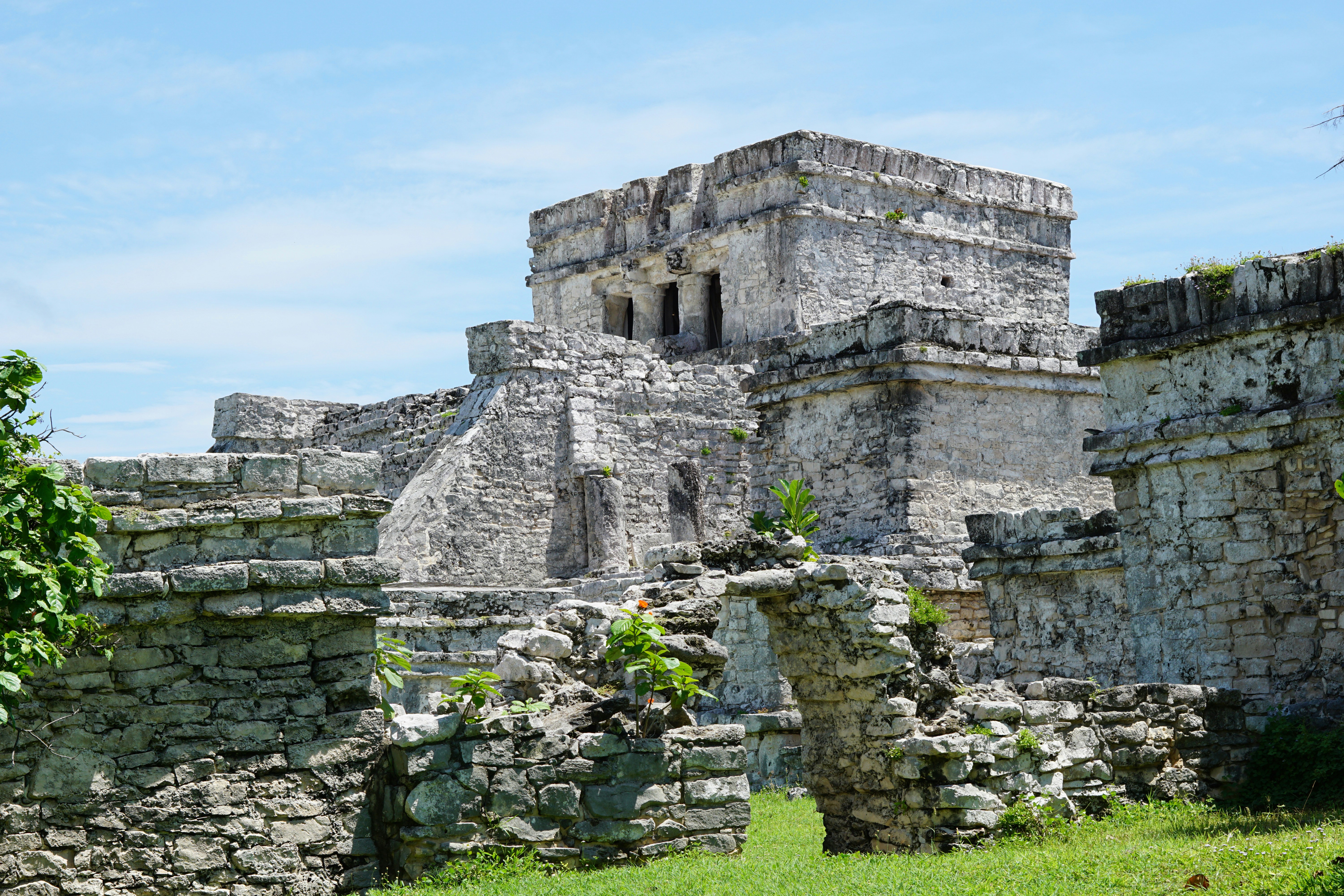 Ruins of the Stone Citadel: Sunlit Steps and Overgrown Courtyard