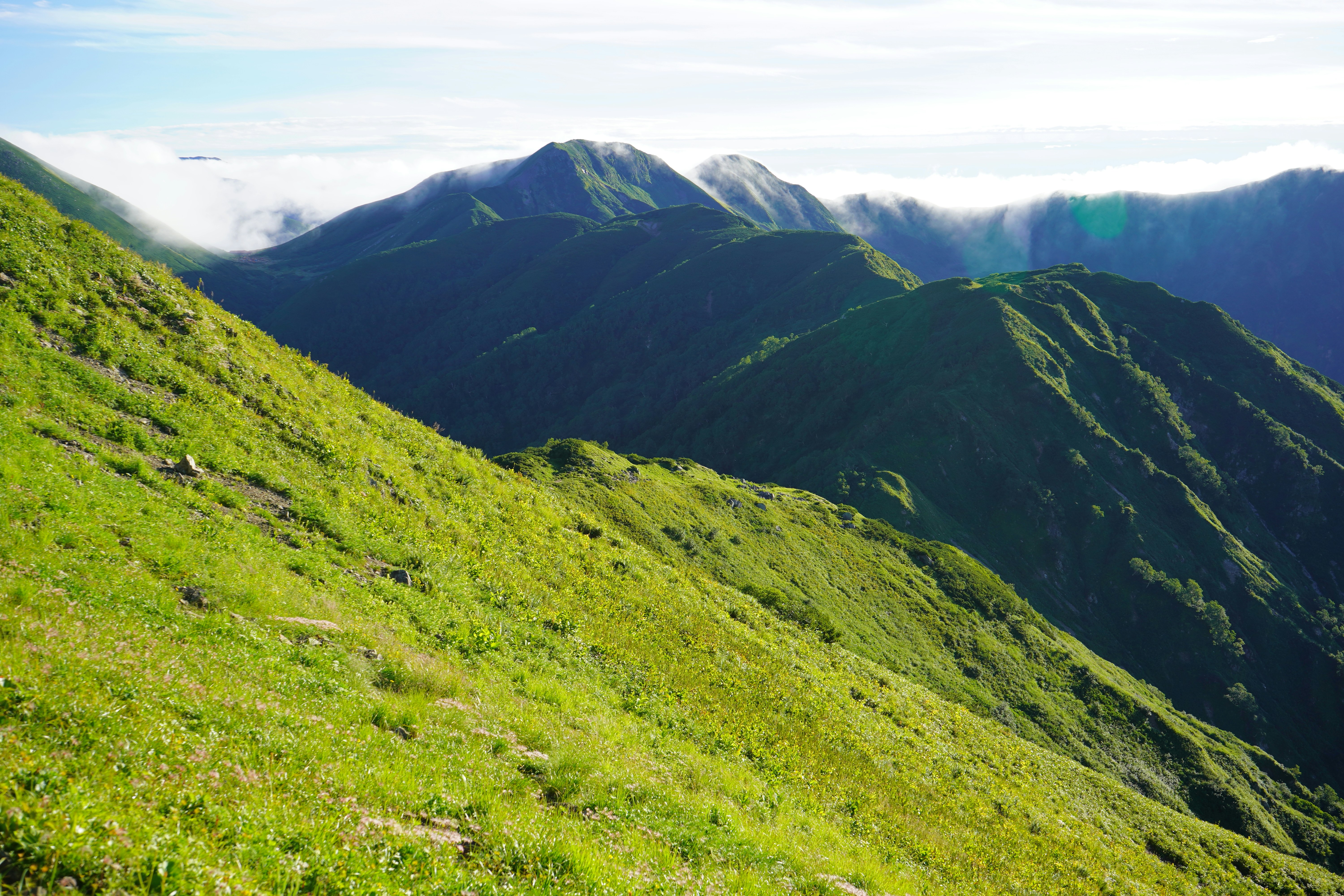 Ridge Crest under Clear Skies: A Lush Green Ascent