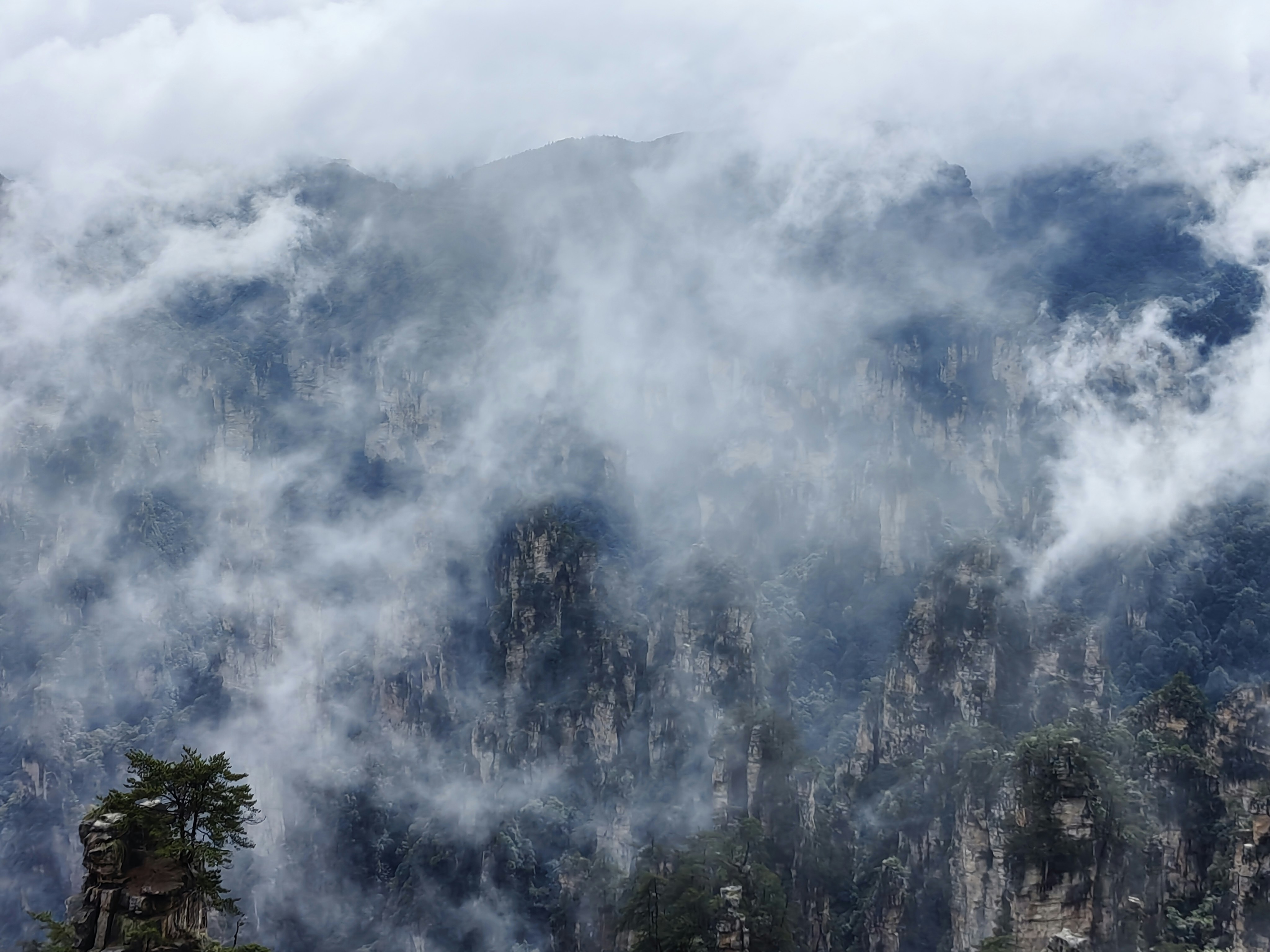 Tall sandstone pillars rising through thick mist in Zhangjiajie National Forest Park