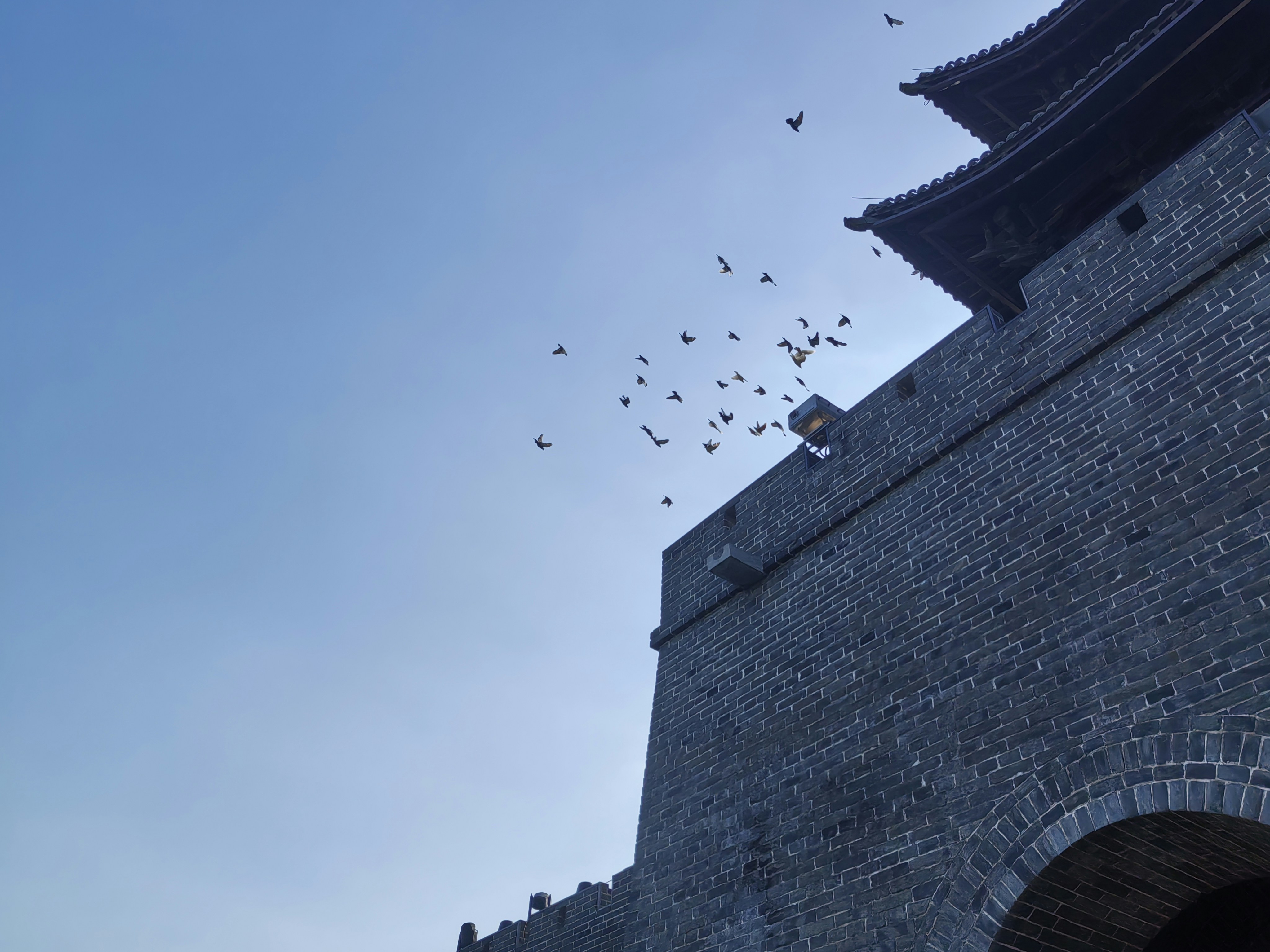 A flock of birds flying past a grey brick wall of an ancient gatehouse