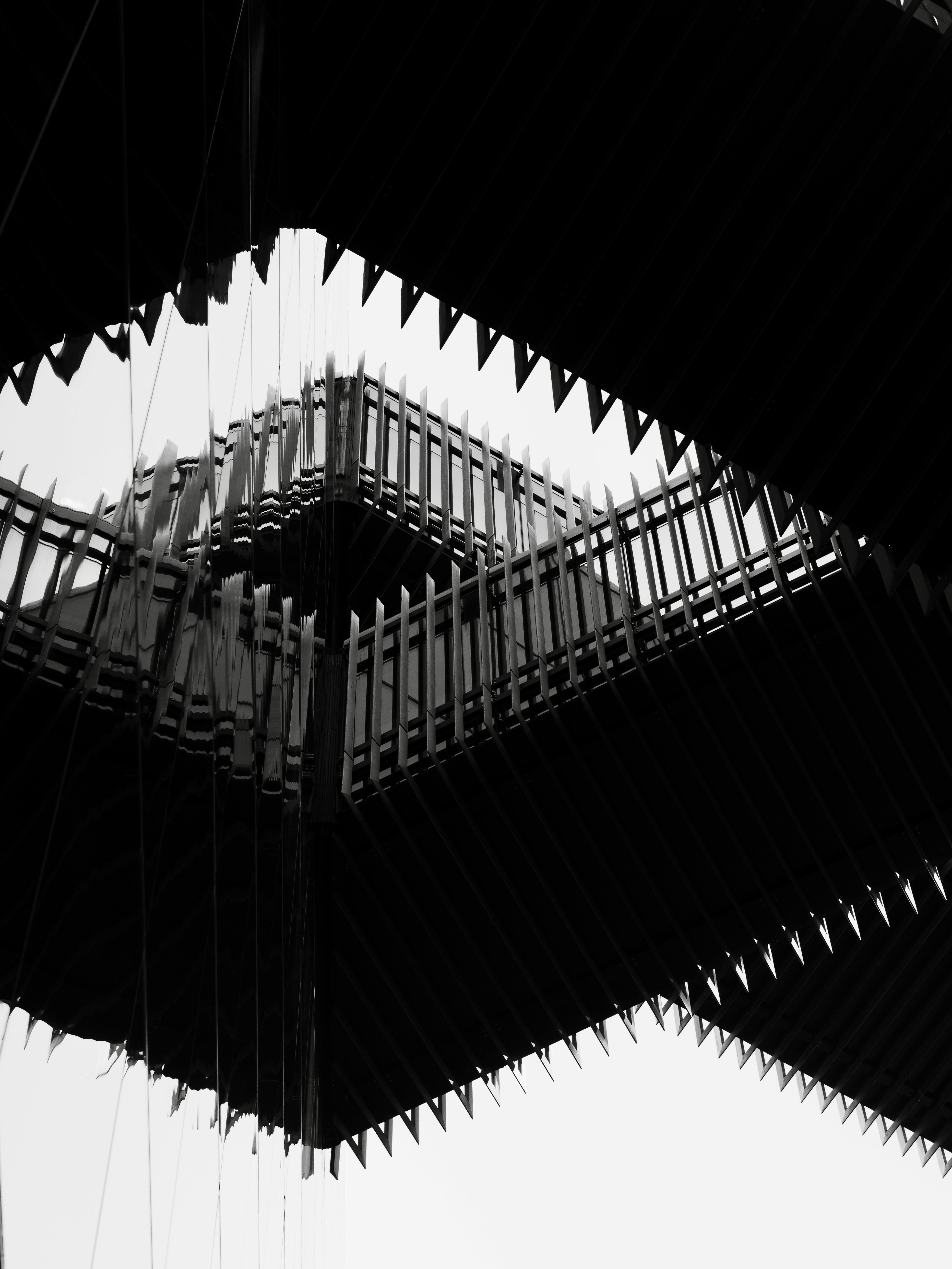 Angles of Light and Timber: A Monochrome Architectural Study