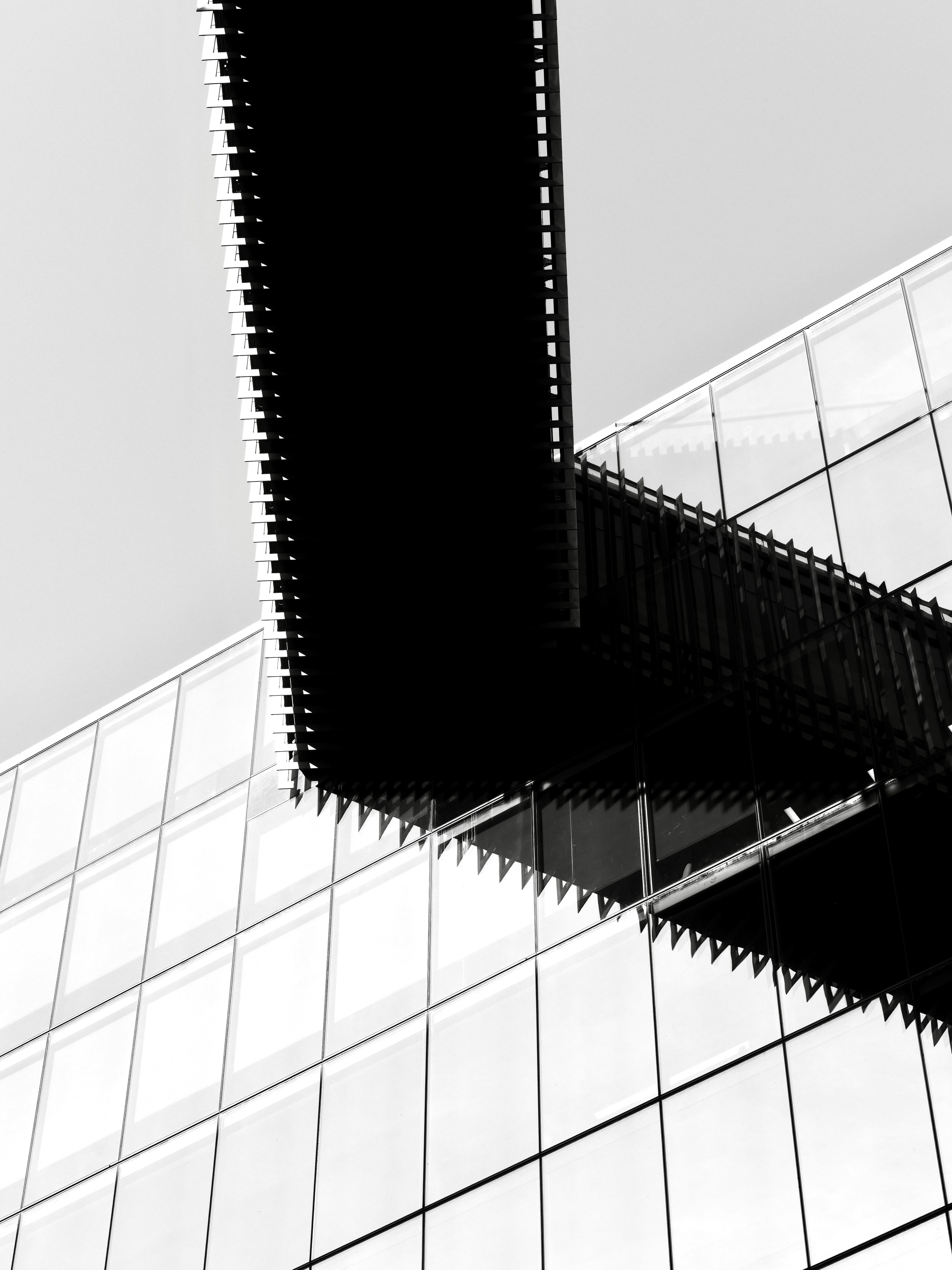 Suspended Geometry: A Black-and-White Study of Structural Tension
