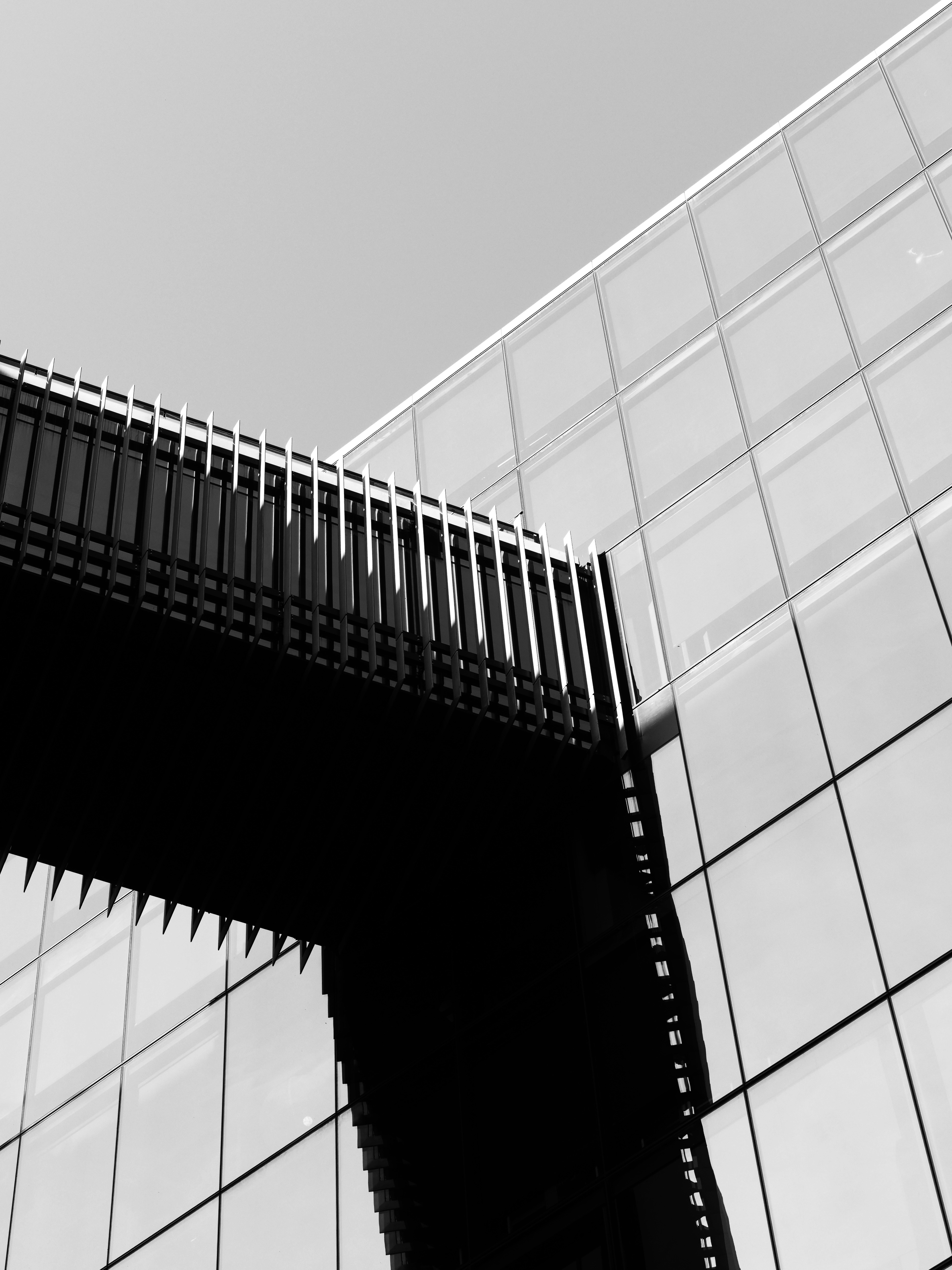 Geometry in Glass: A Black-and-White Facade Study