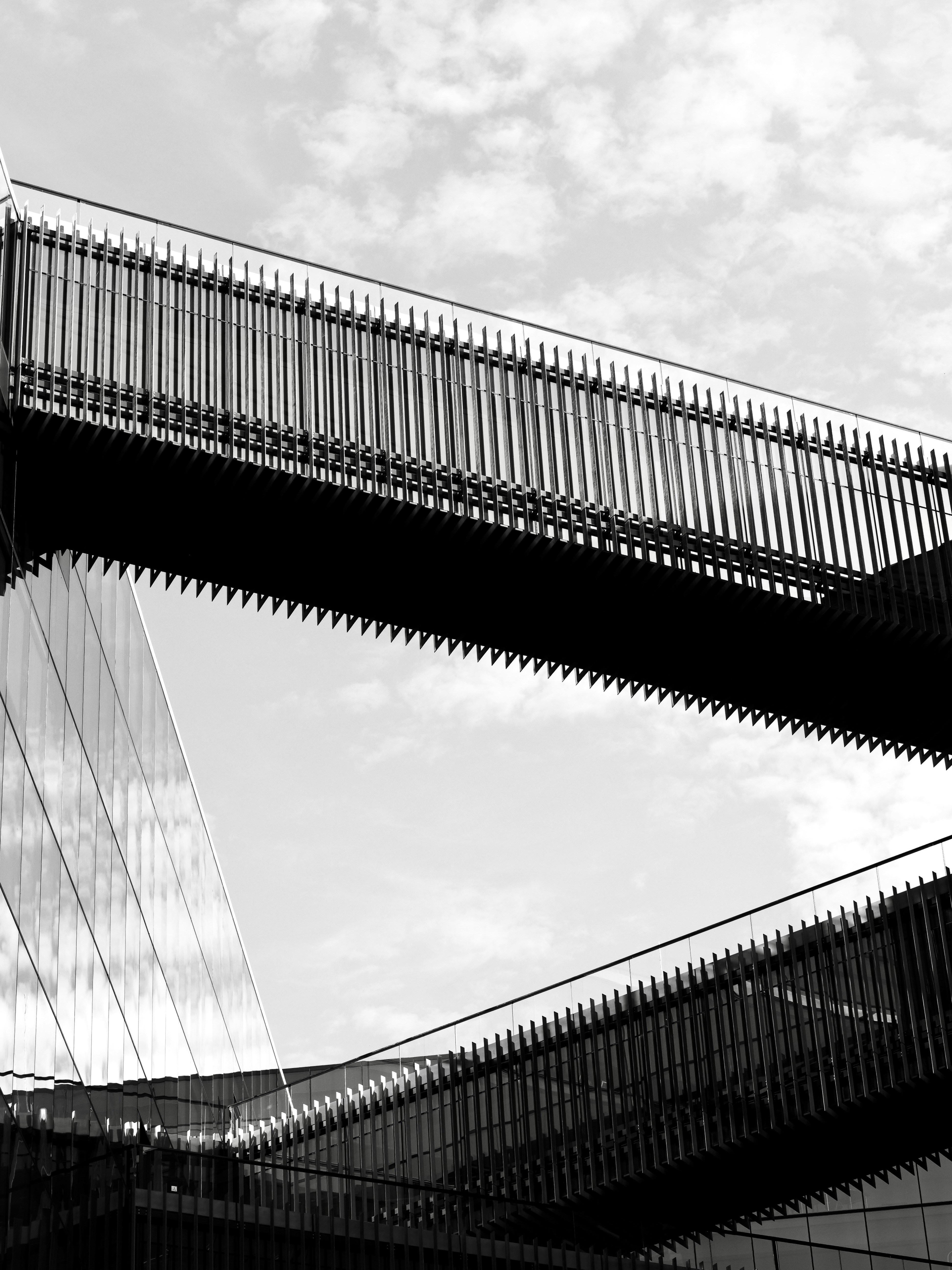 Bridge silhouettes: a geometric ballet of railings and shadows