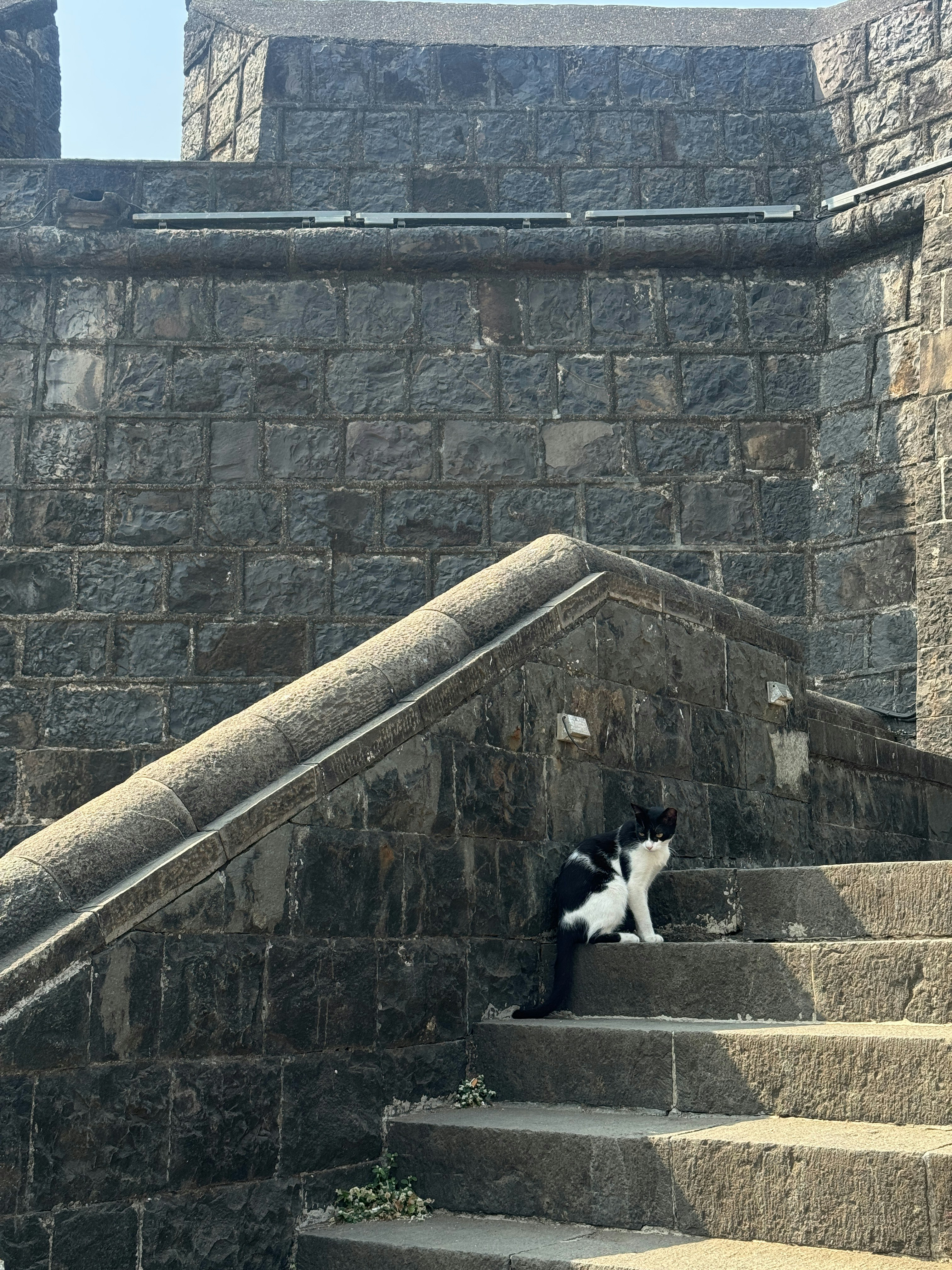 A black-and-white cat sits on stone stairs beside a rugged stone wall, framed by a sunlit masonry stairway and railing.