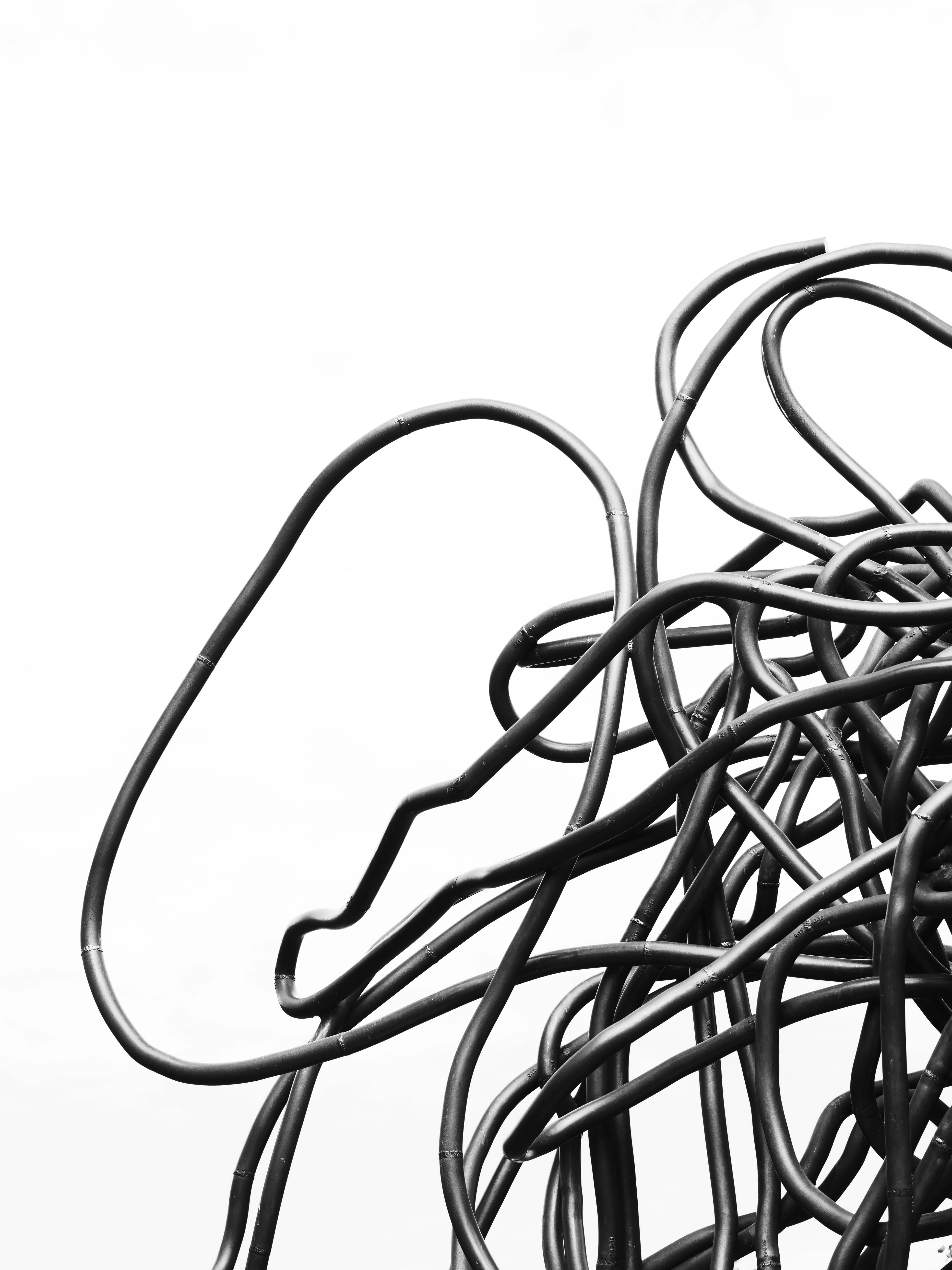 Tangled Steel: A Portrait of Curves in Metal