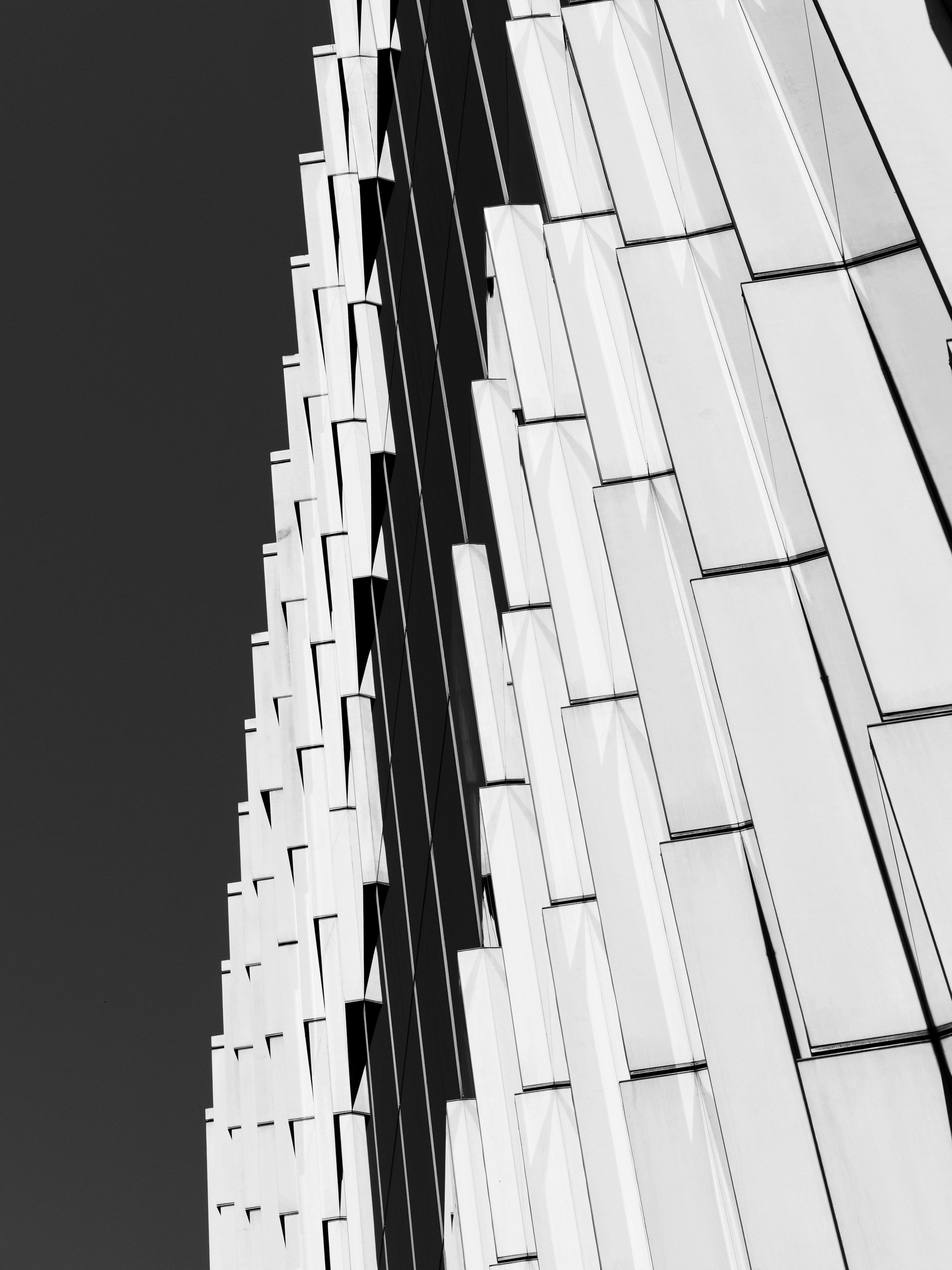 Architectural rhythm in high-contrast monochrome facade