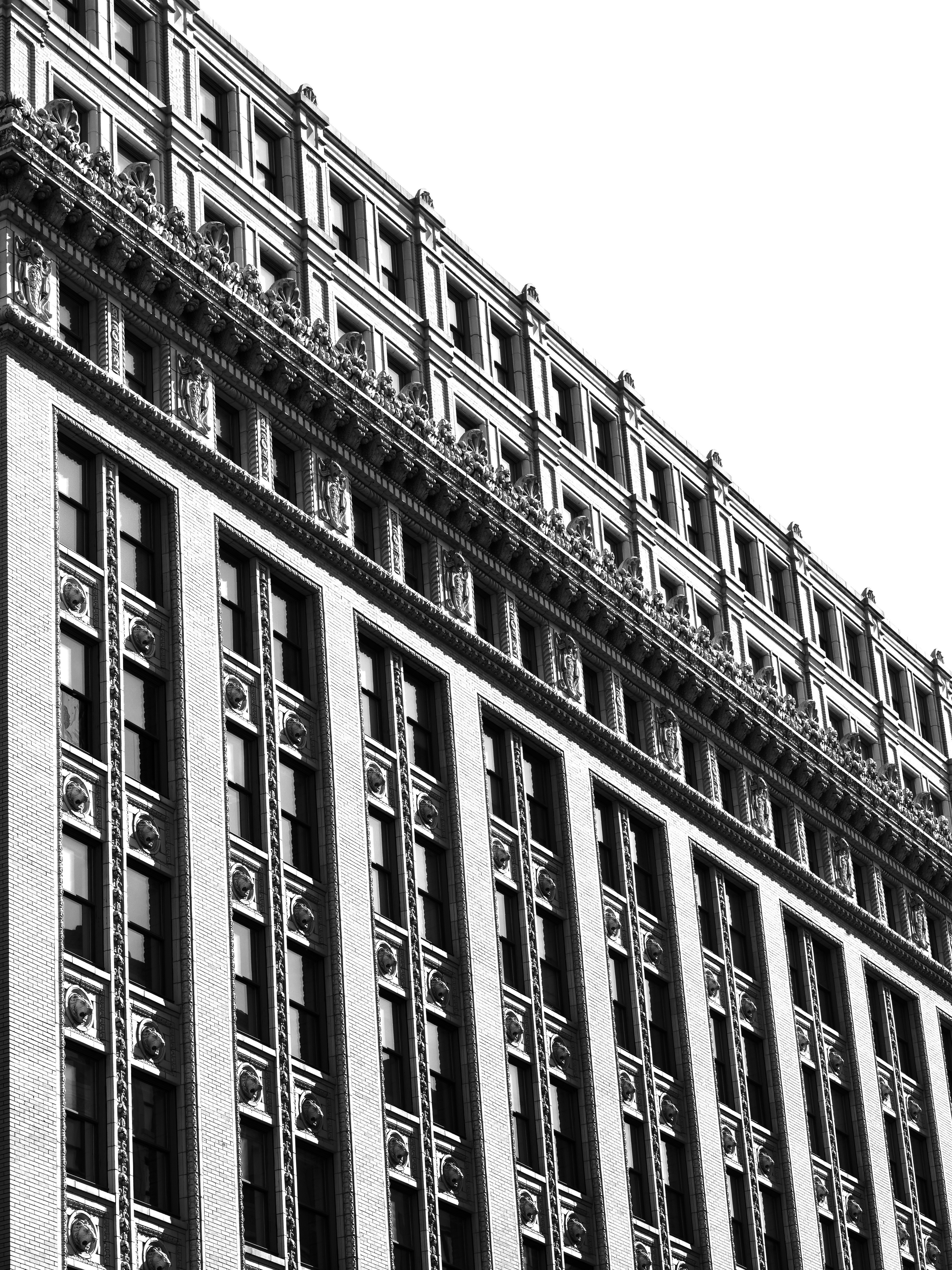 Vertical Cadence: Facades in Monochrome