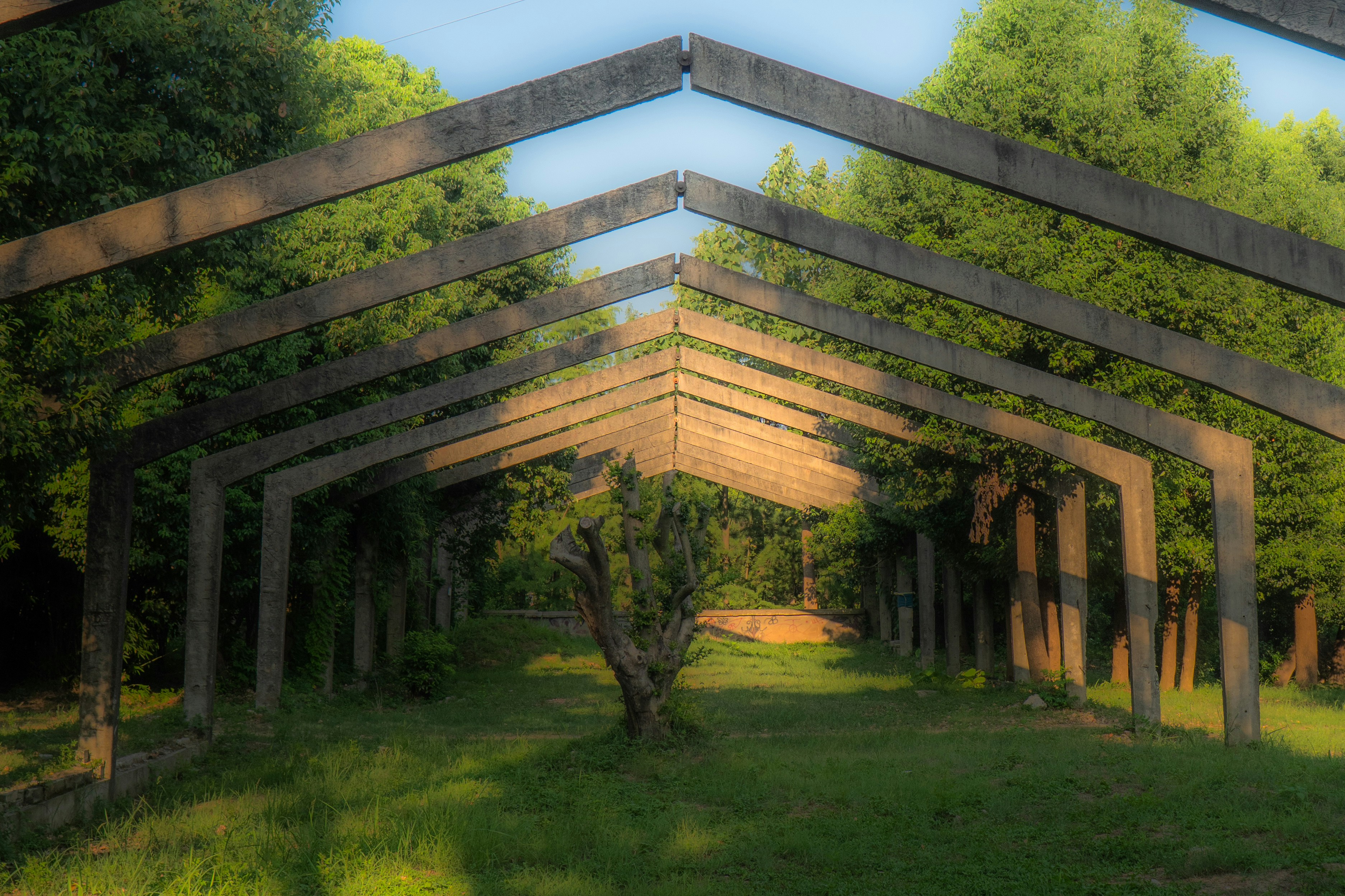 Timber Arches: A Sunlit Path Through a Structured Garden of Frames