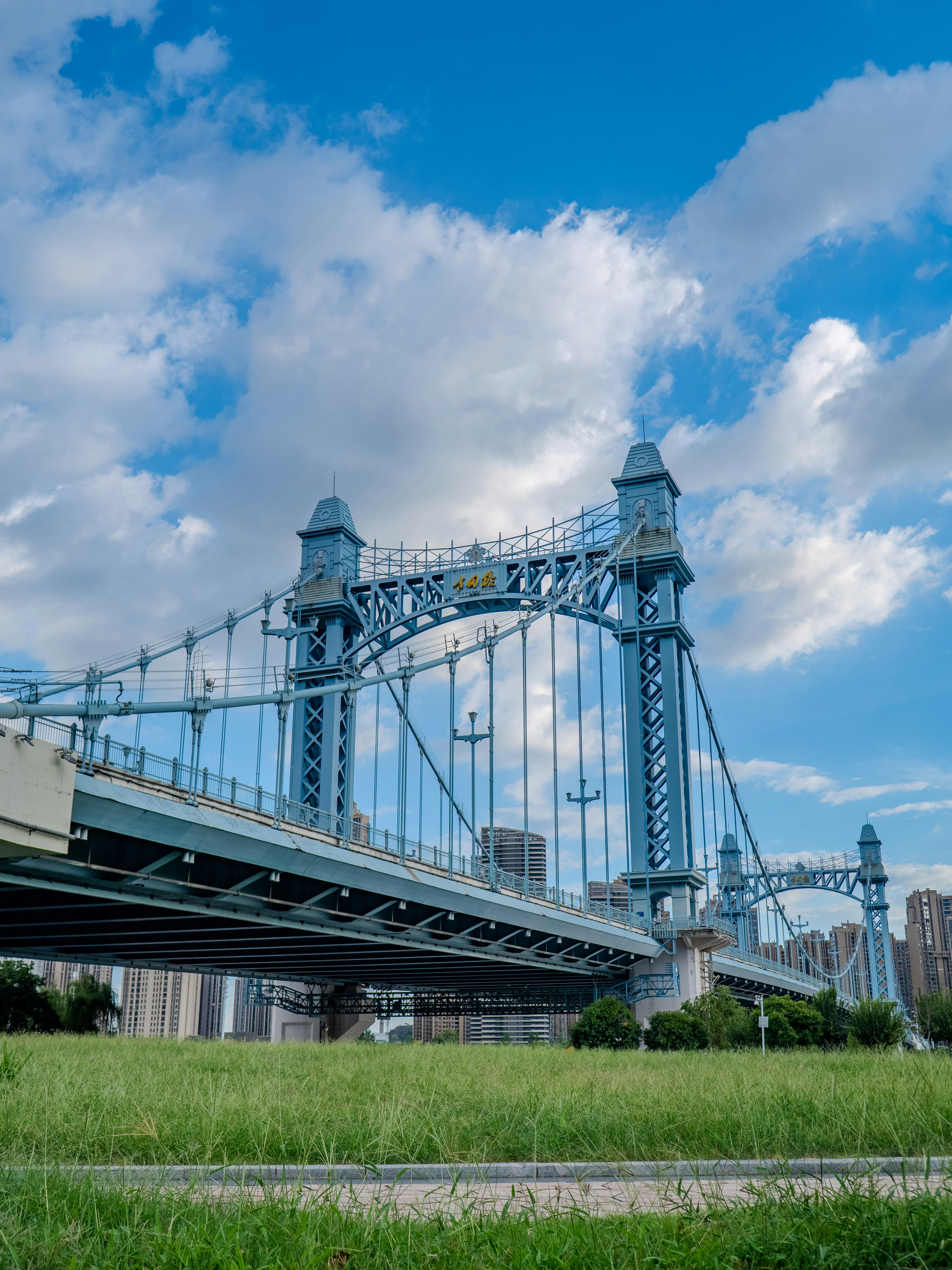 Blue Span: A City Bridge Rising Above Green Riverside