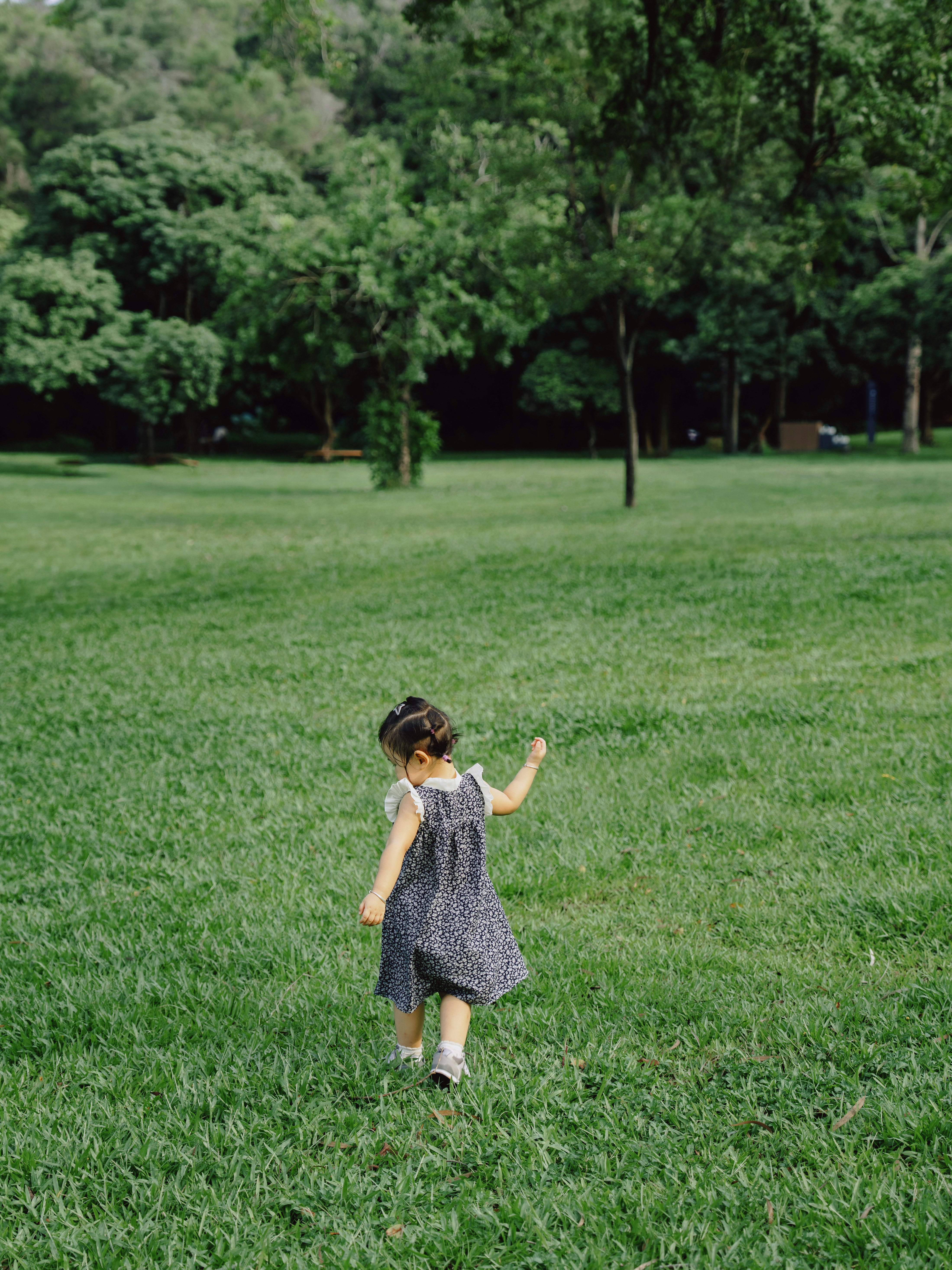 Little Wanderer in a Sea of Green
