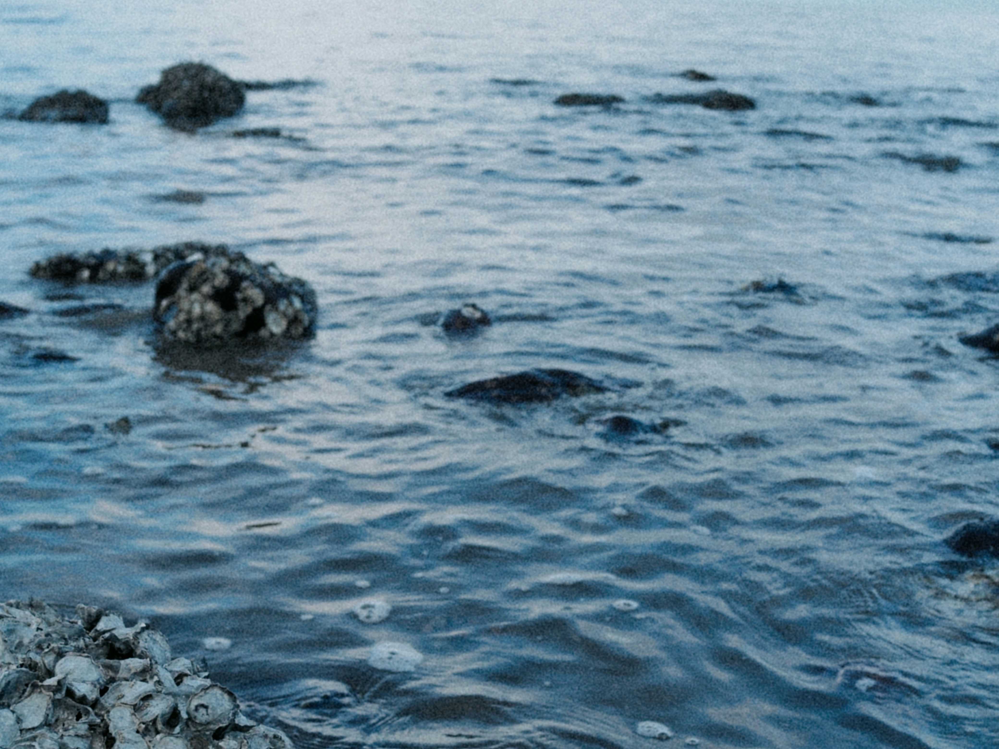 Rocky Ocean Glints Under Quiet Morning Light