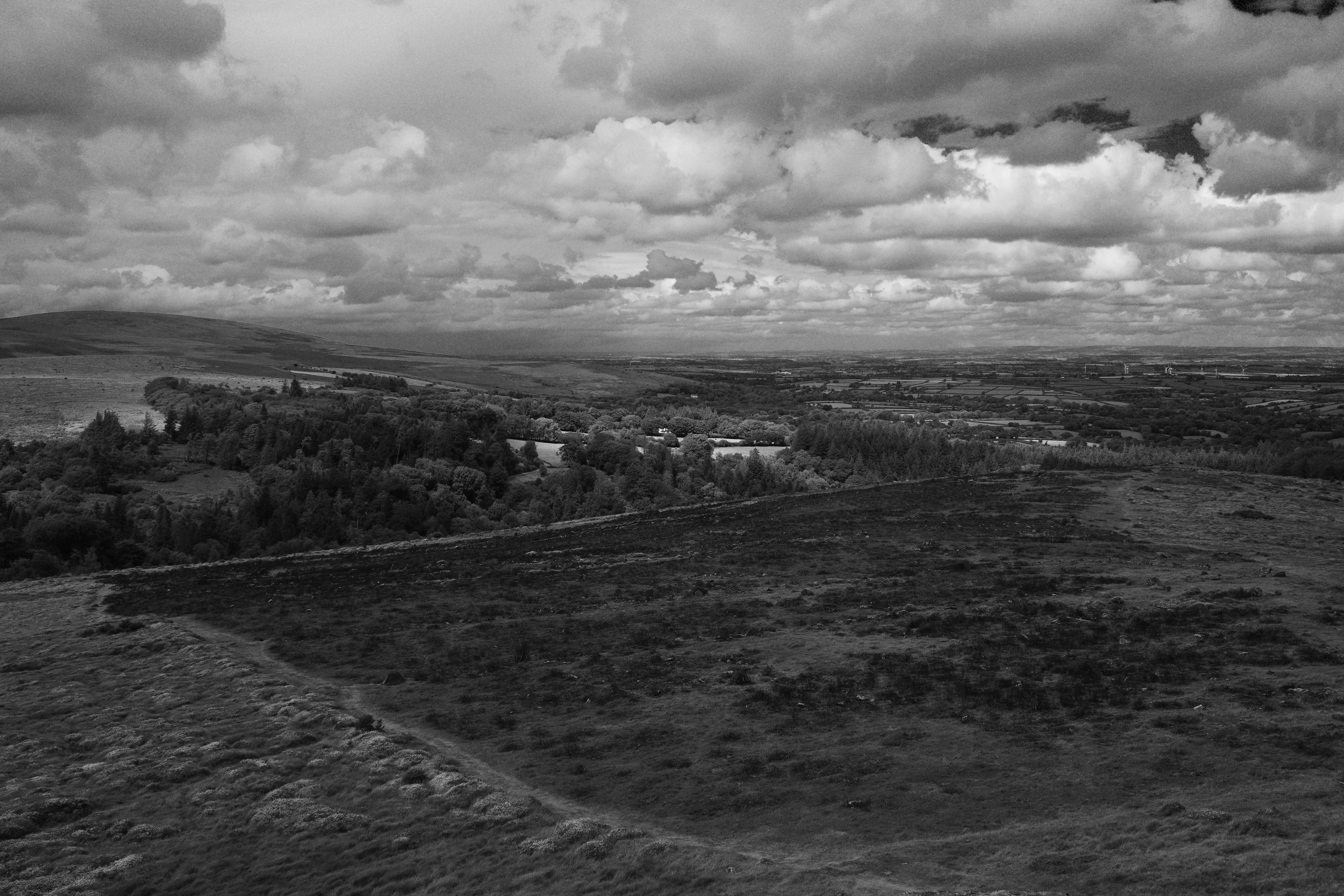 Lowland Horizon: A Quiet Roll of Distant Fields