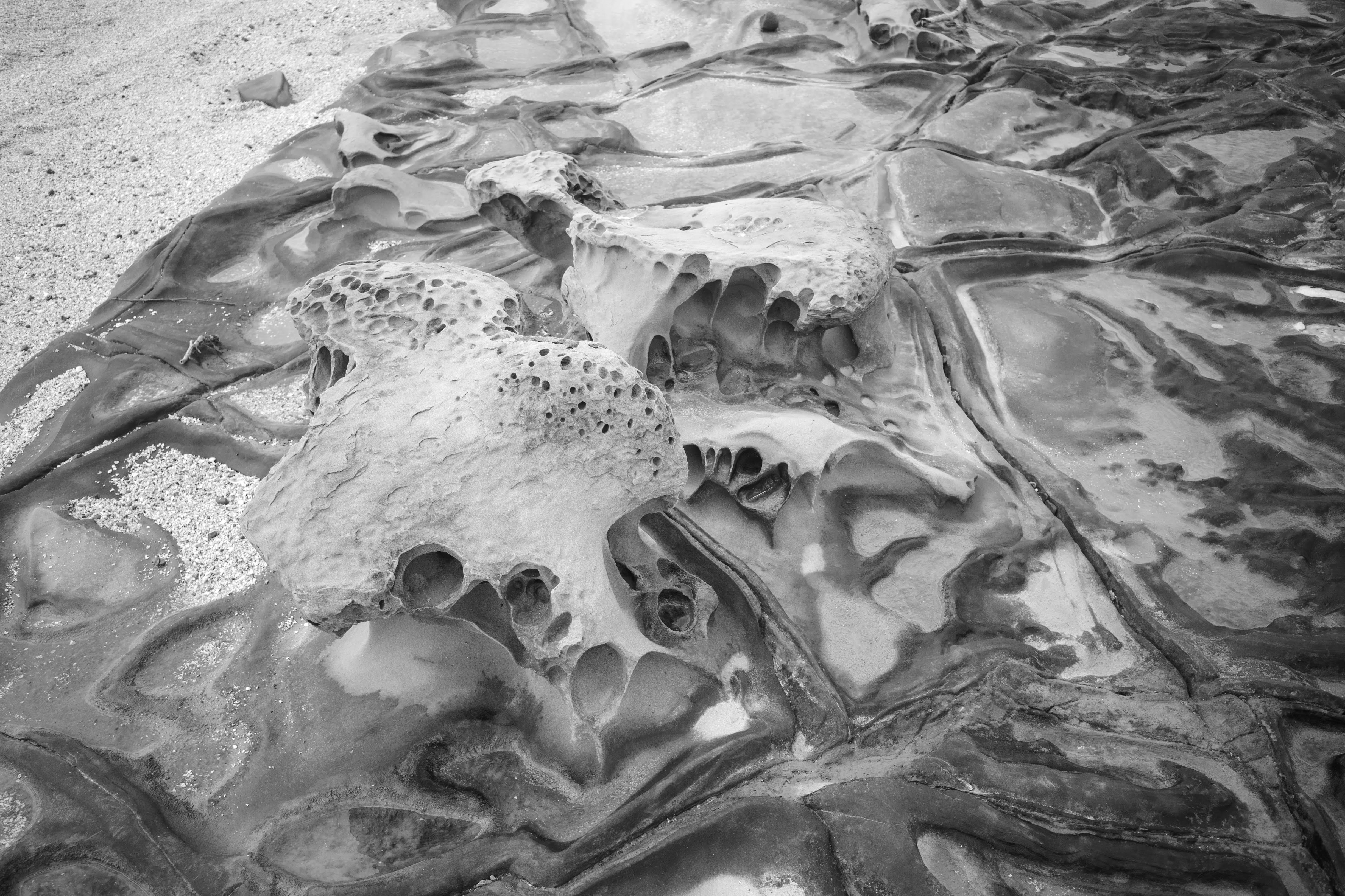 Eroded Ledger: A Tide-Touched Landscape of Stone and Foam
