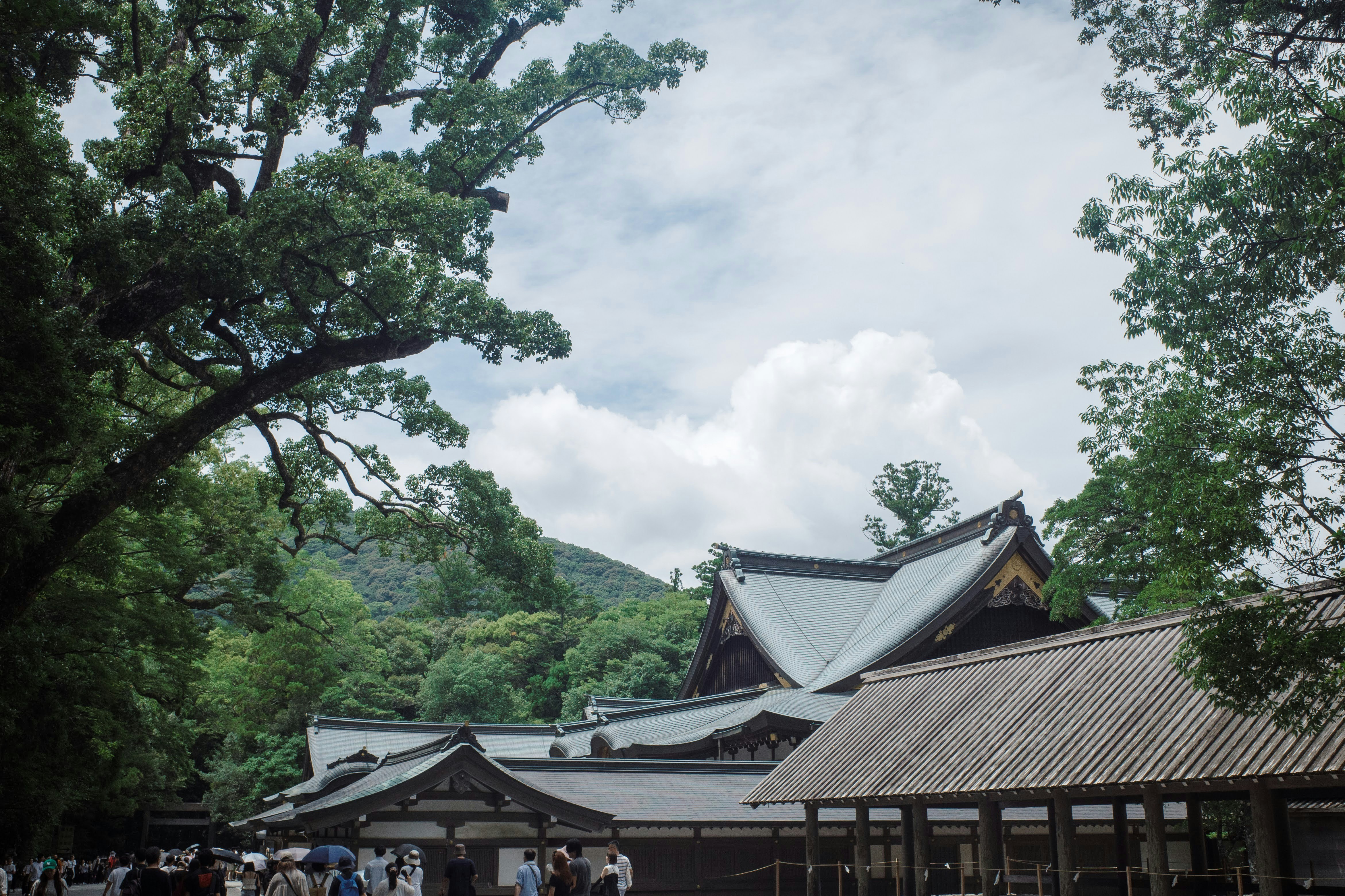 Temple Rooflines Beneath a Canopy of Green