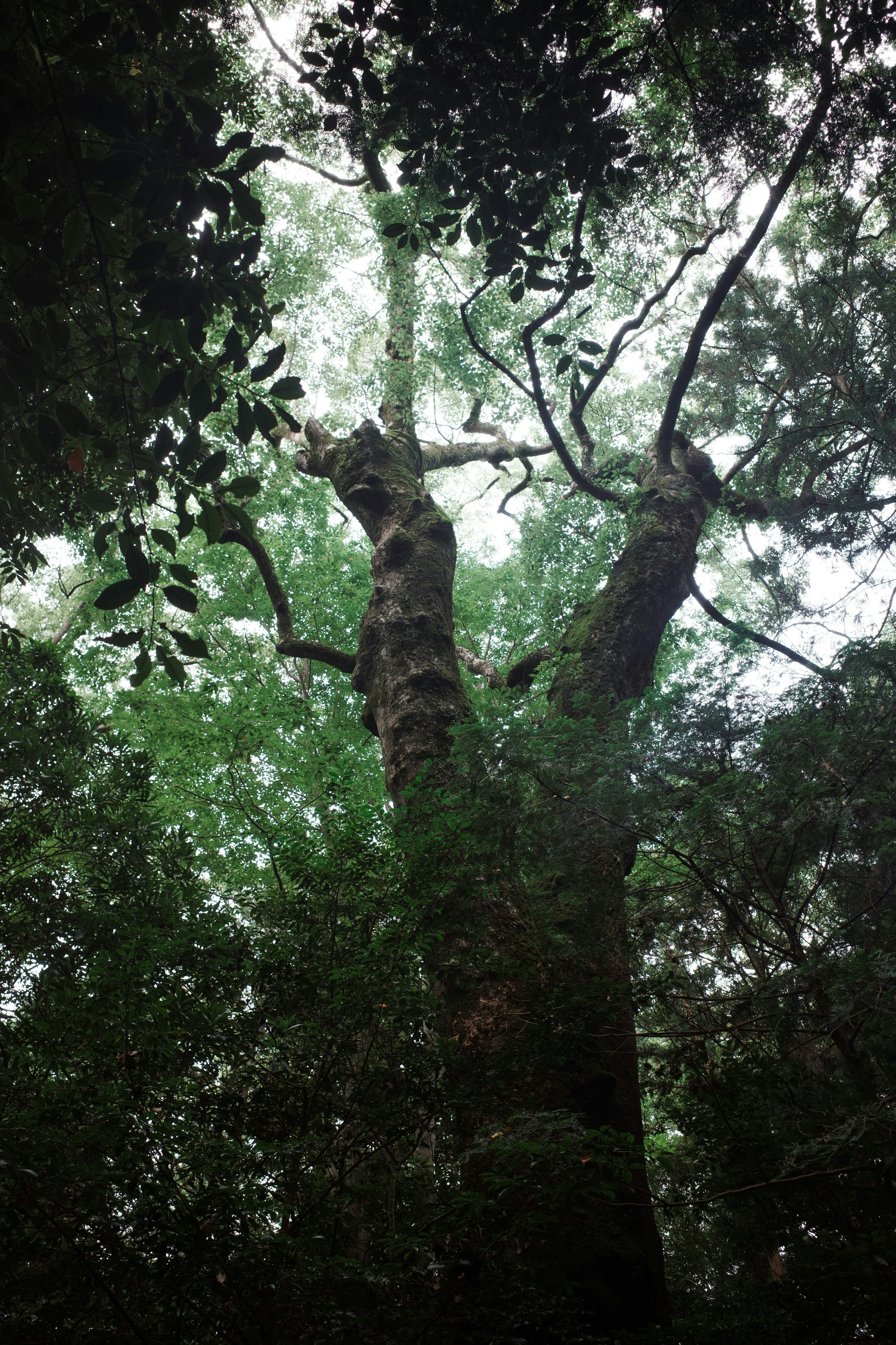Photo by osamu nakazawa with Ricoh GR III