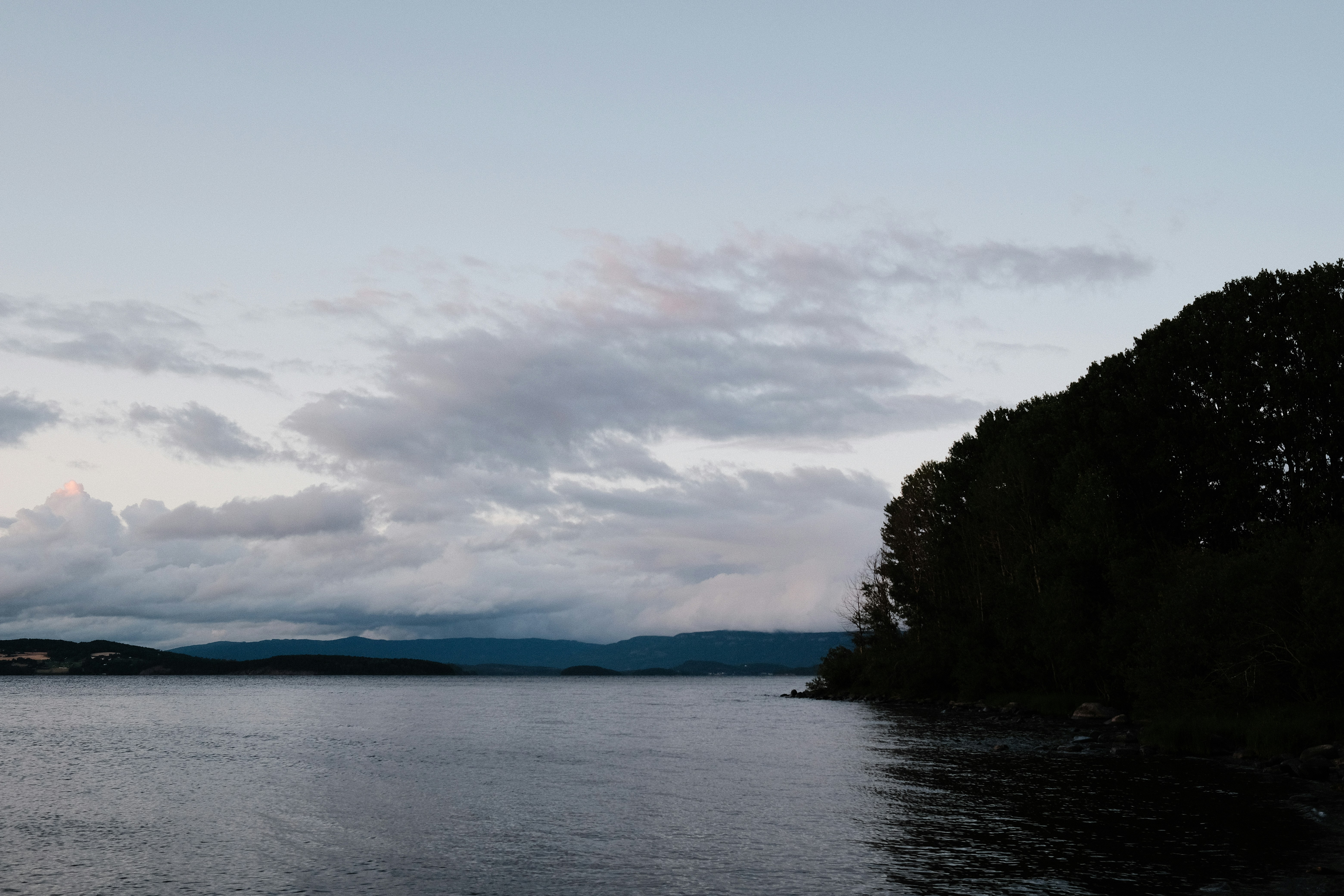 Dusk on the Quiet Lake: Edge of the Woods
