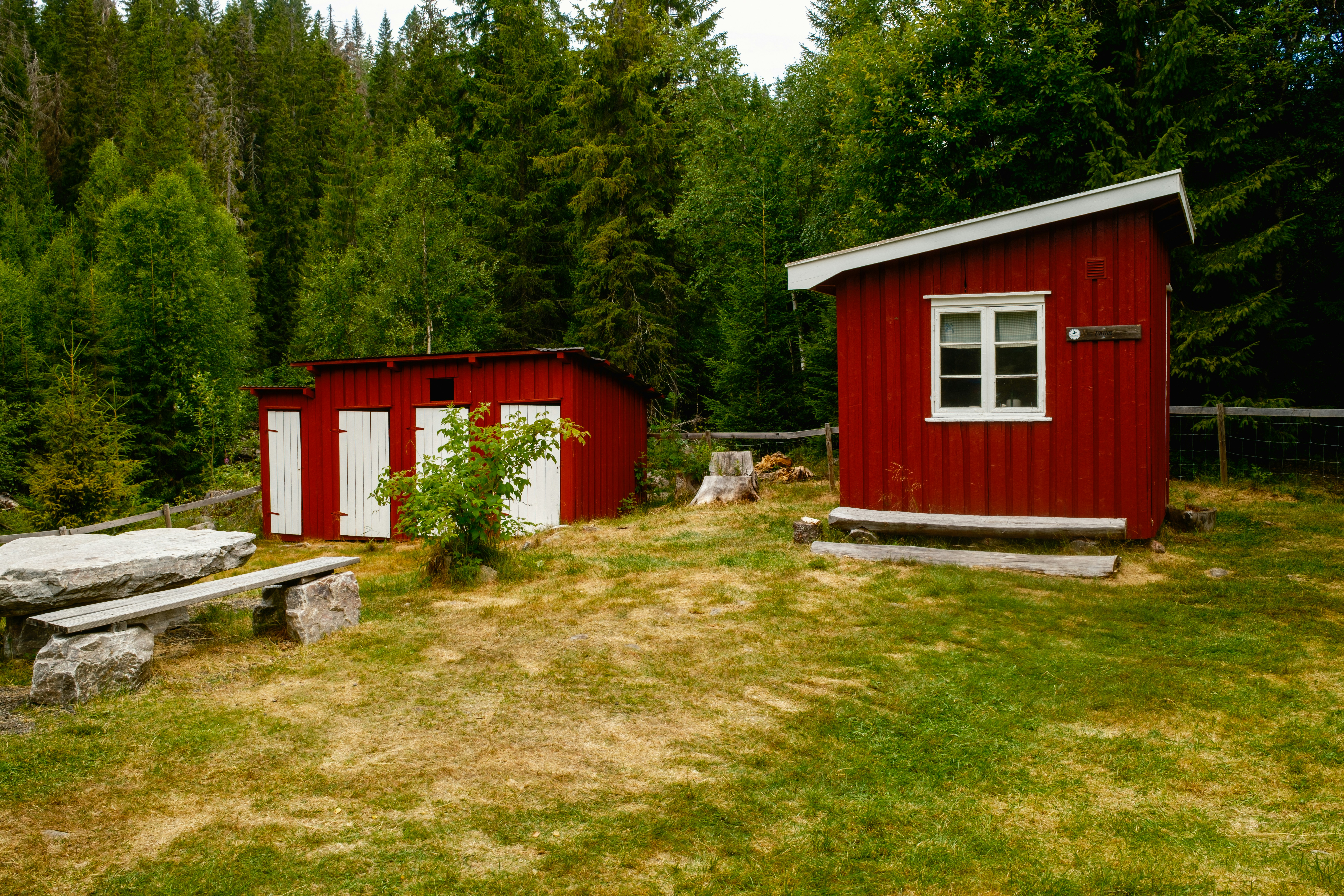 Red Cottages in a Quiet Clearing