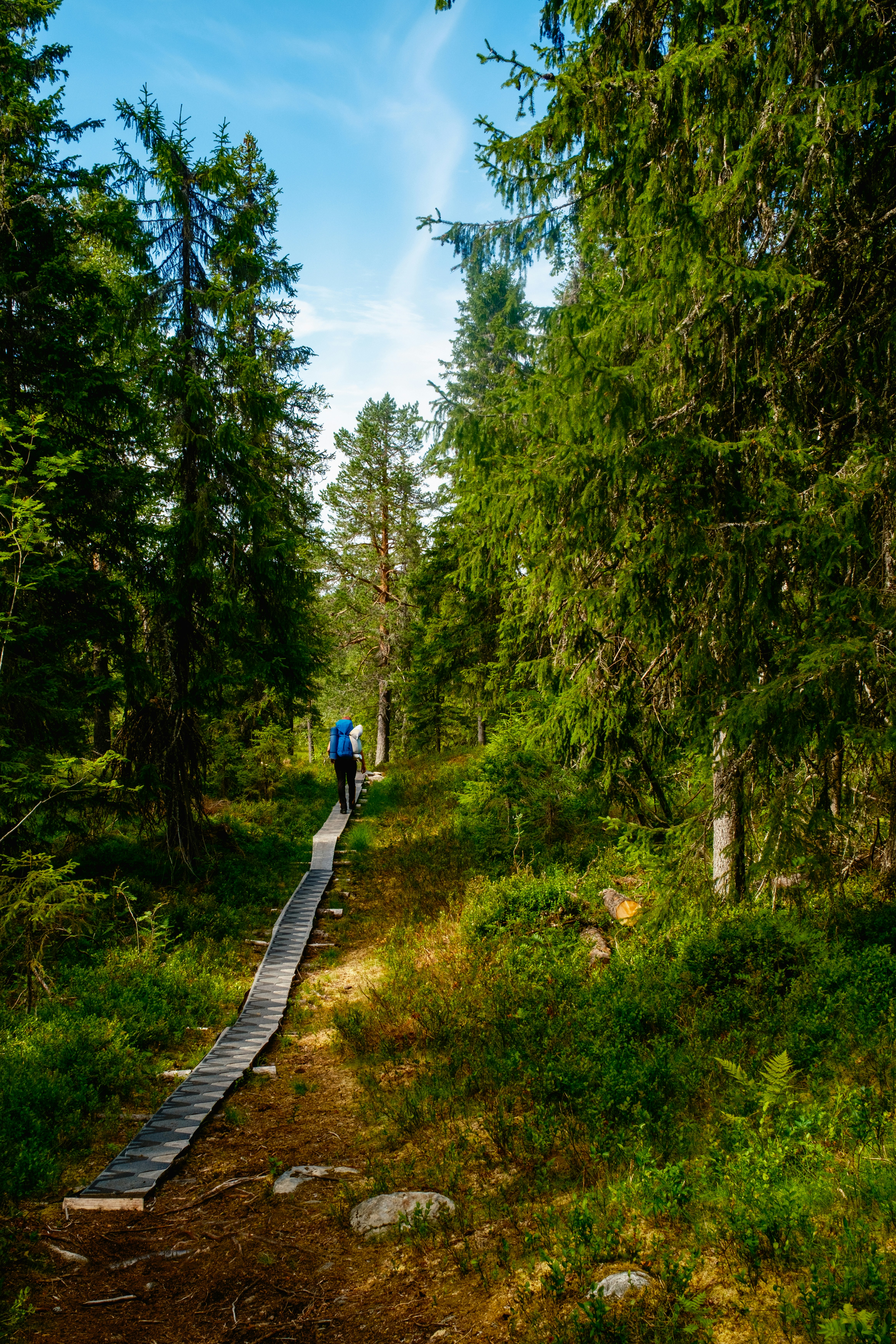 Trail of the Blue-Clad Wanderer
