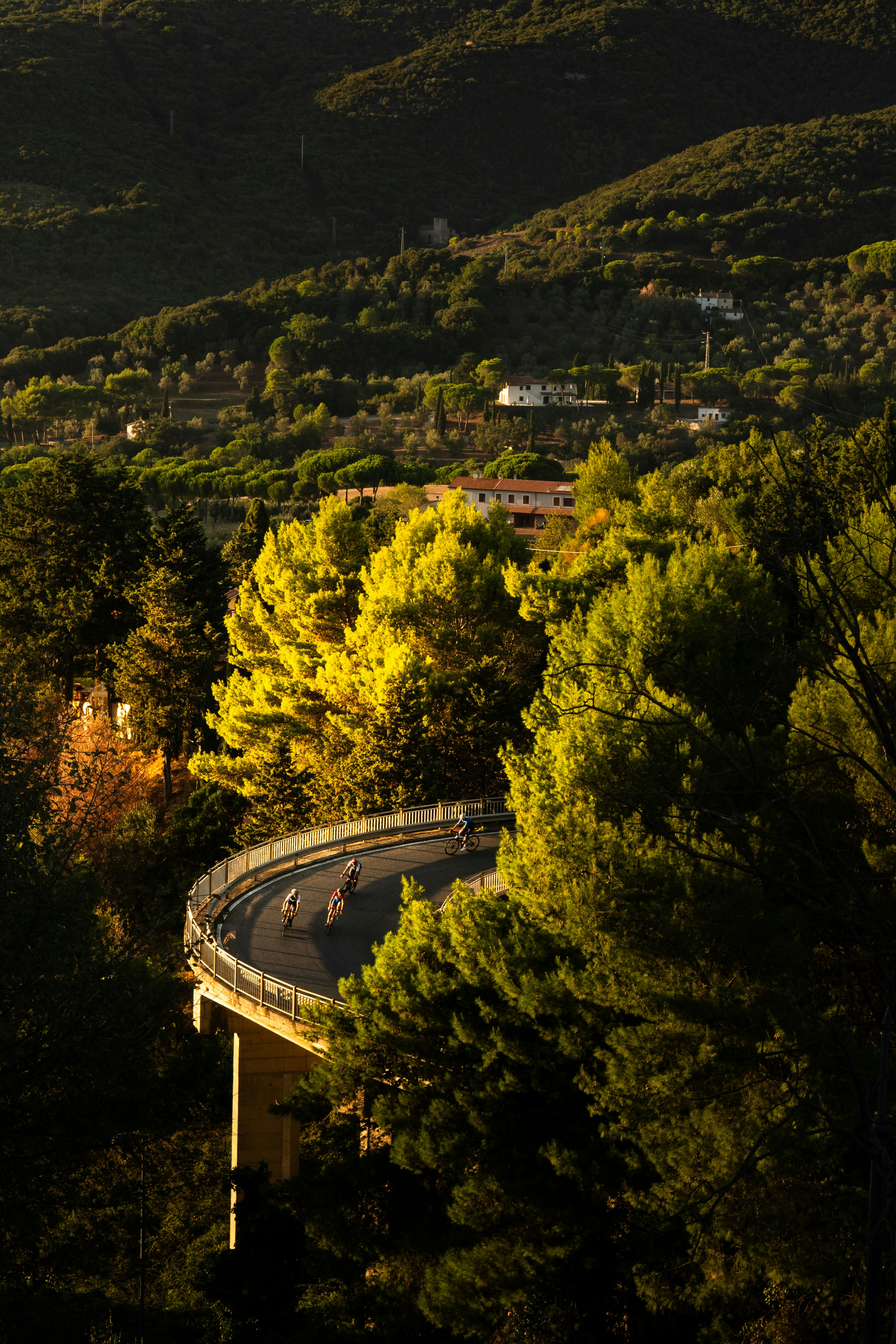 Golden Curve: Cyclists on a Lush Clifftop Road