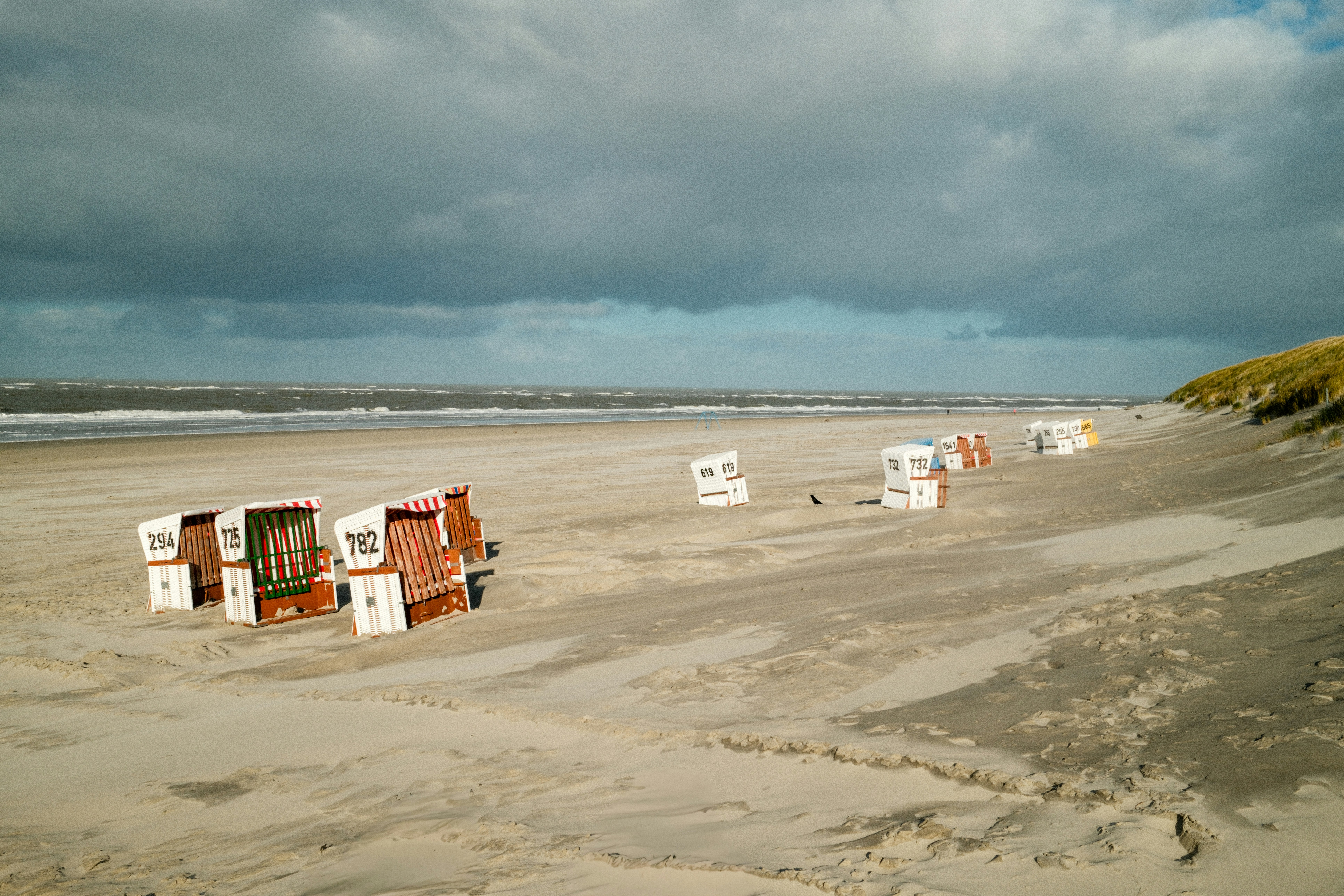 Hushed Dunes: Beachfront Beeches and Colorful Lifeguard Huts in Quiet Light