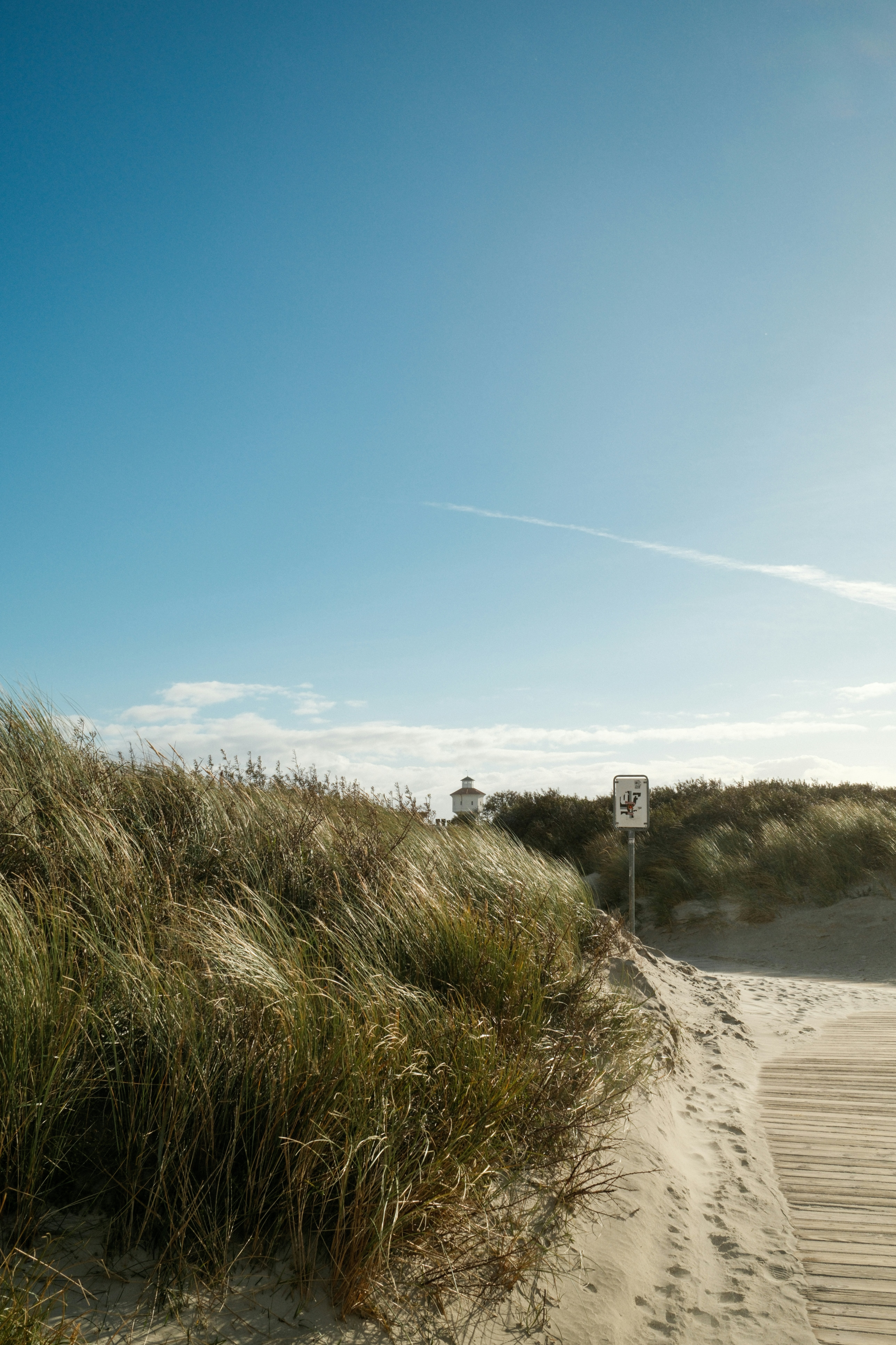 Dune Pathways Toward the Sea: A Quiet Beach Approach