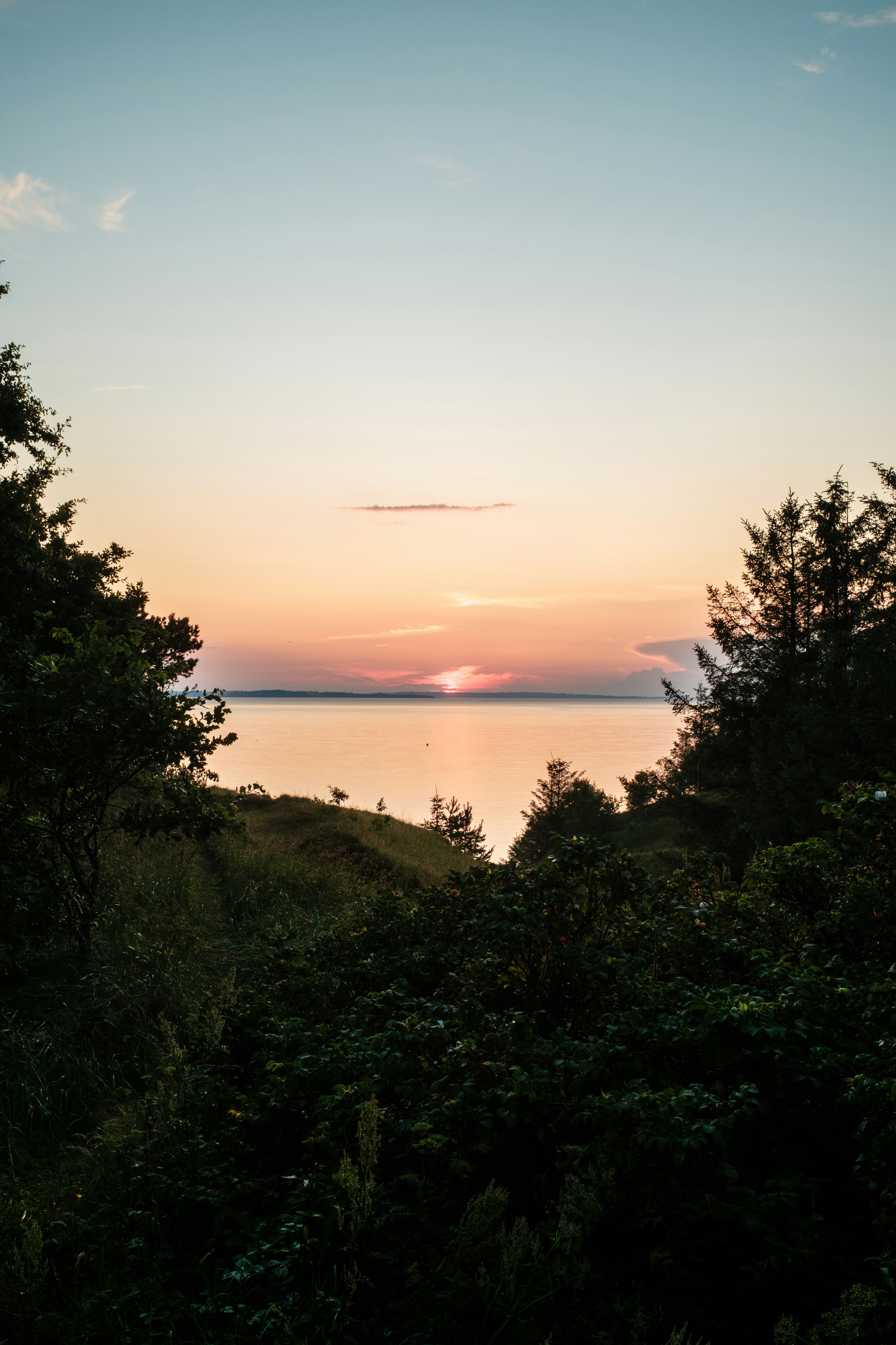 Sunset Over Quiet Waters: Dusk Between Trees