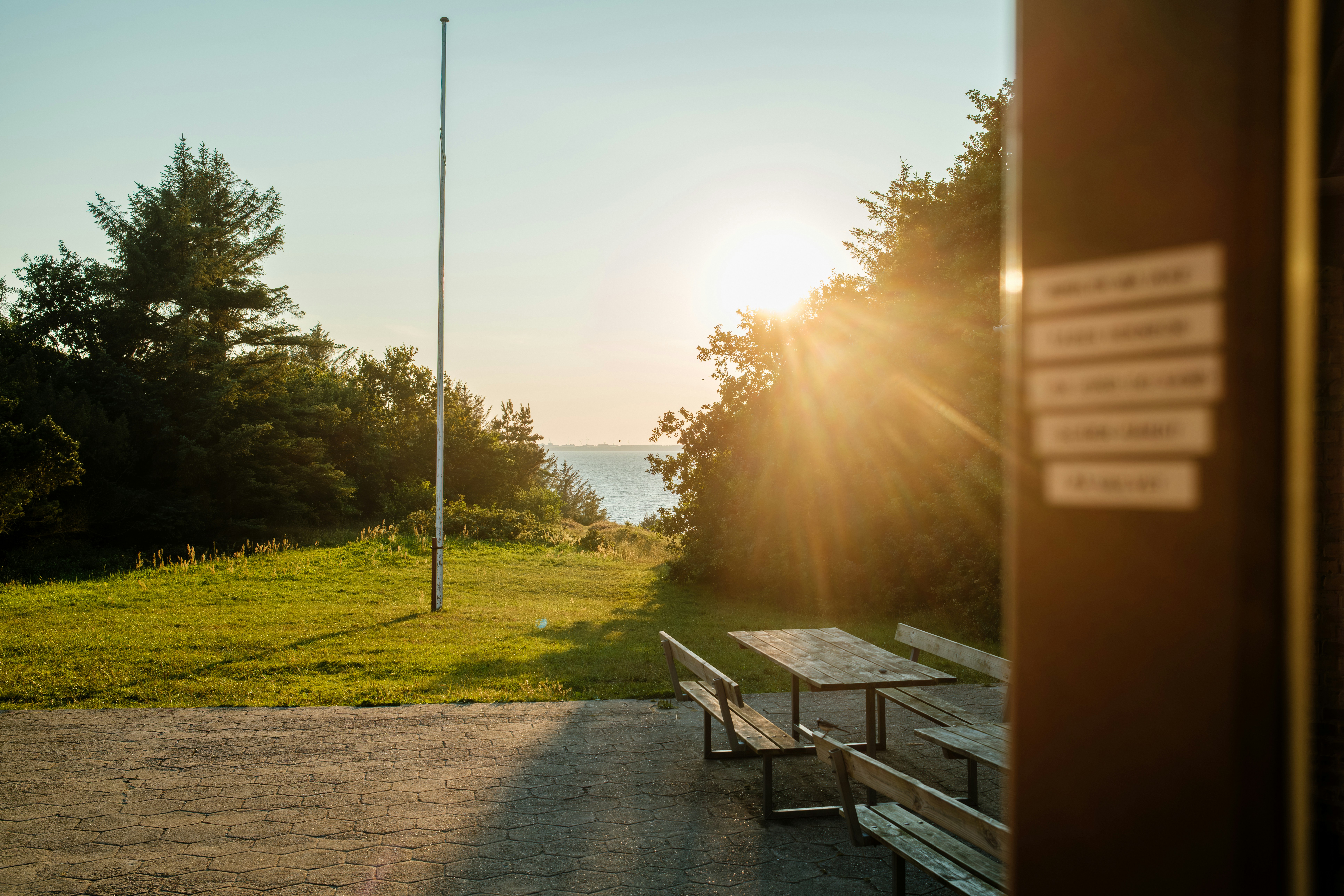 Golden Hour by the Park: Sunlit Bench and Path to the Lake
