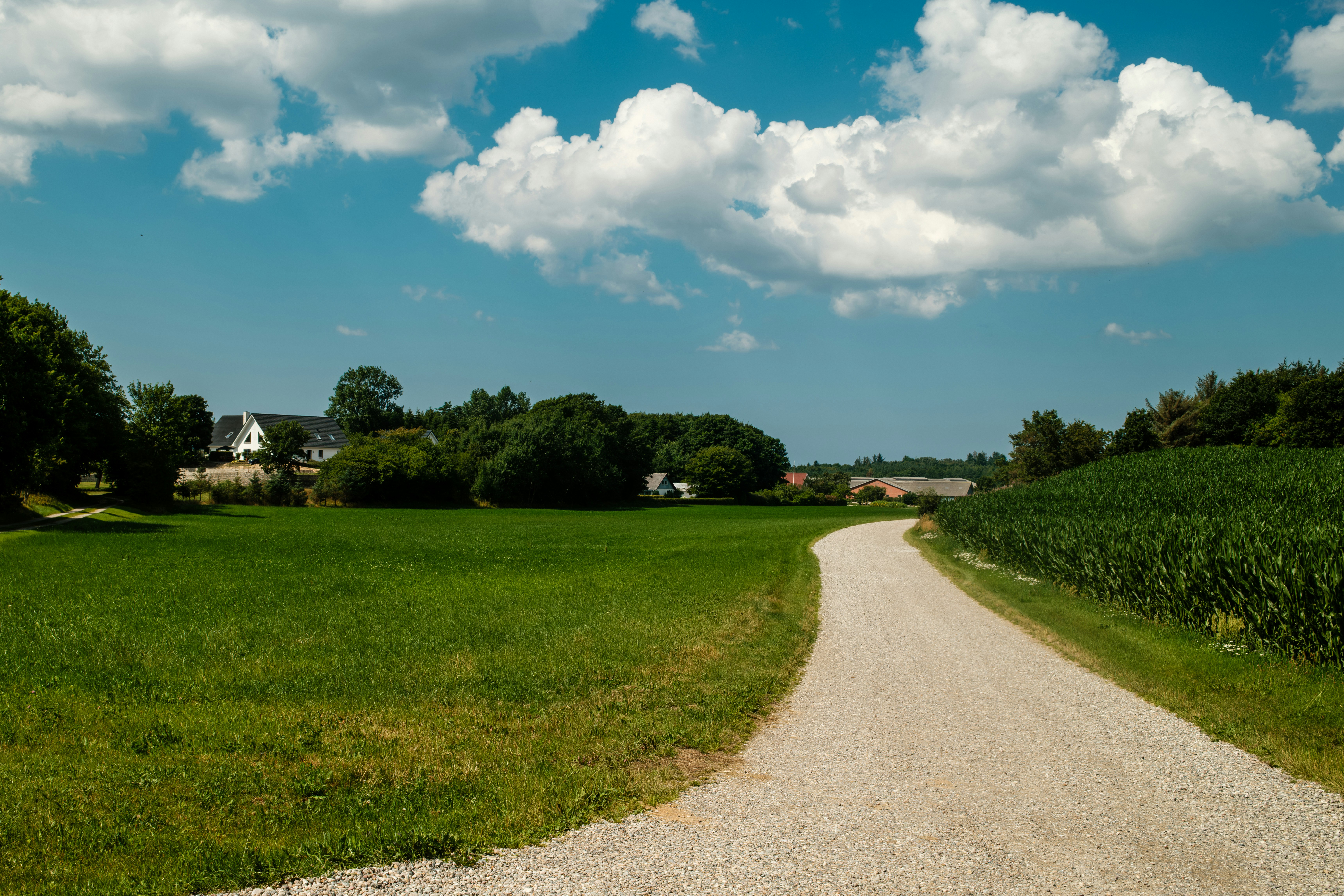 Path through the Sunny Countryside toward a Quiet Horizon