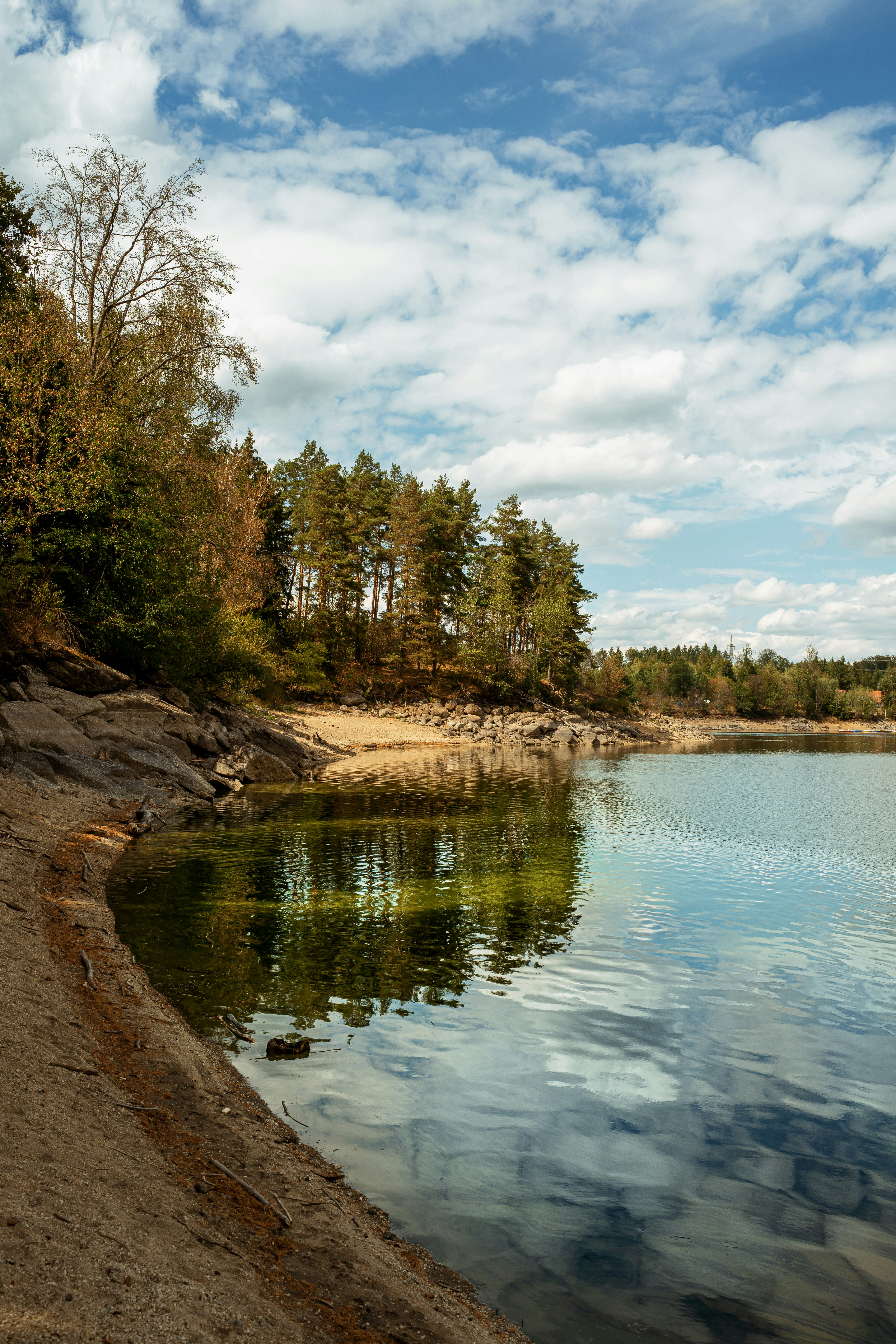 Sunlit Lakeside Edge: Quiet Convergence of Shoreline and Sky