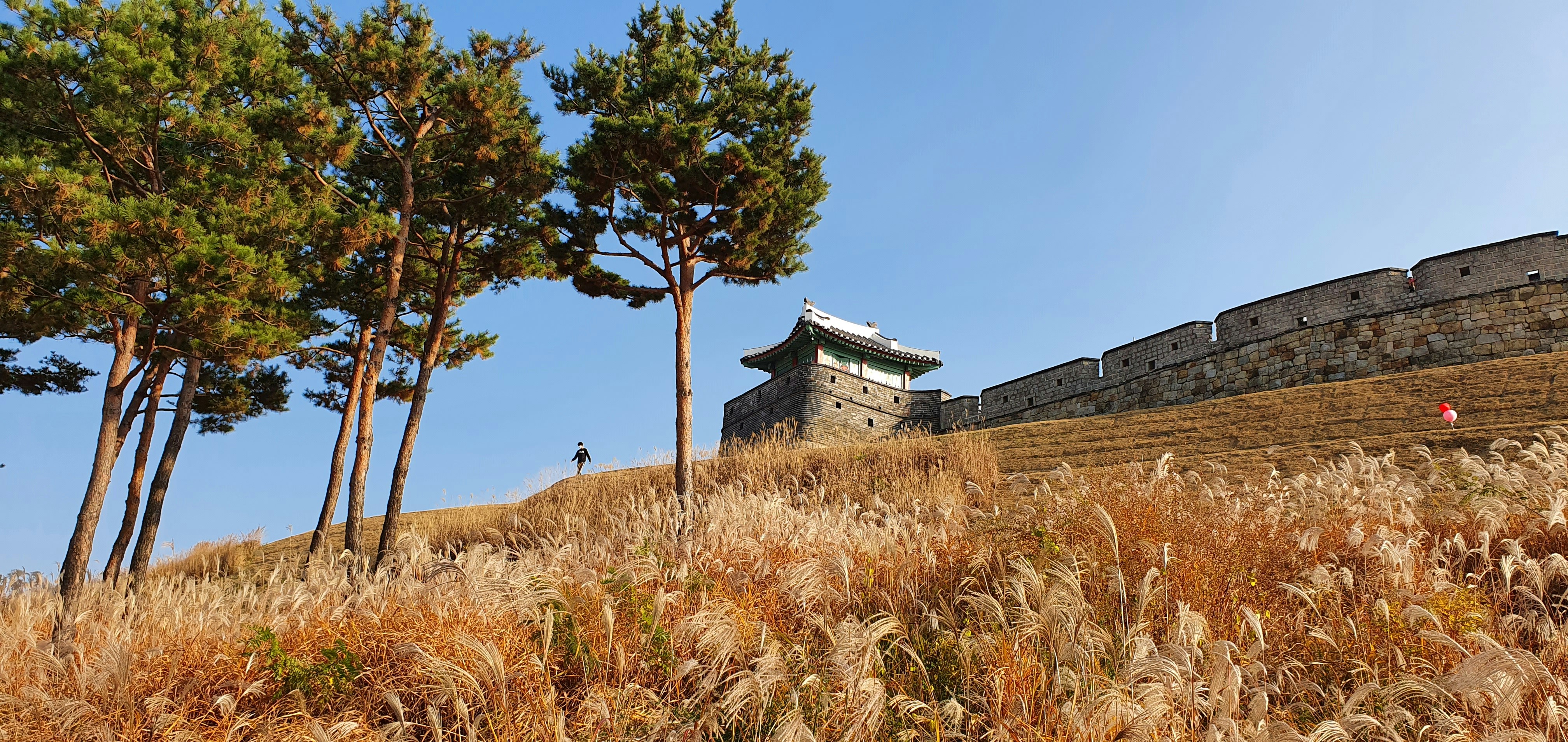 Sunlit Hillfort: Golden Grasses Meet Ancient Walls