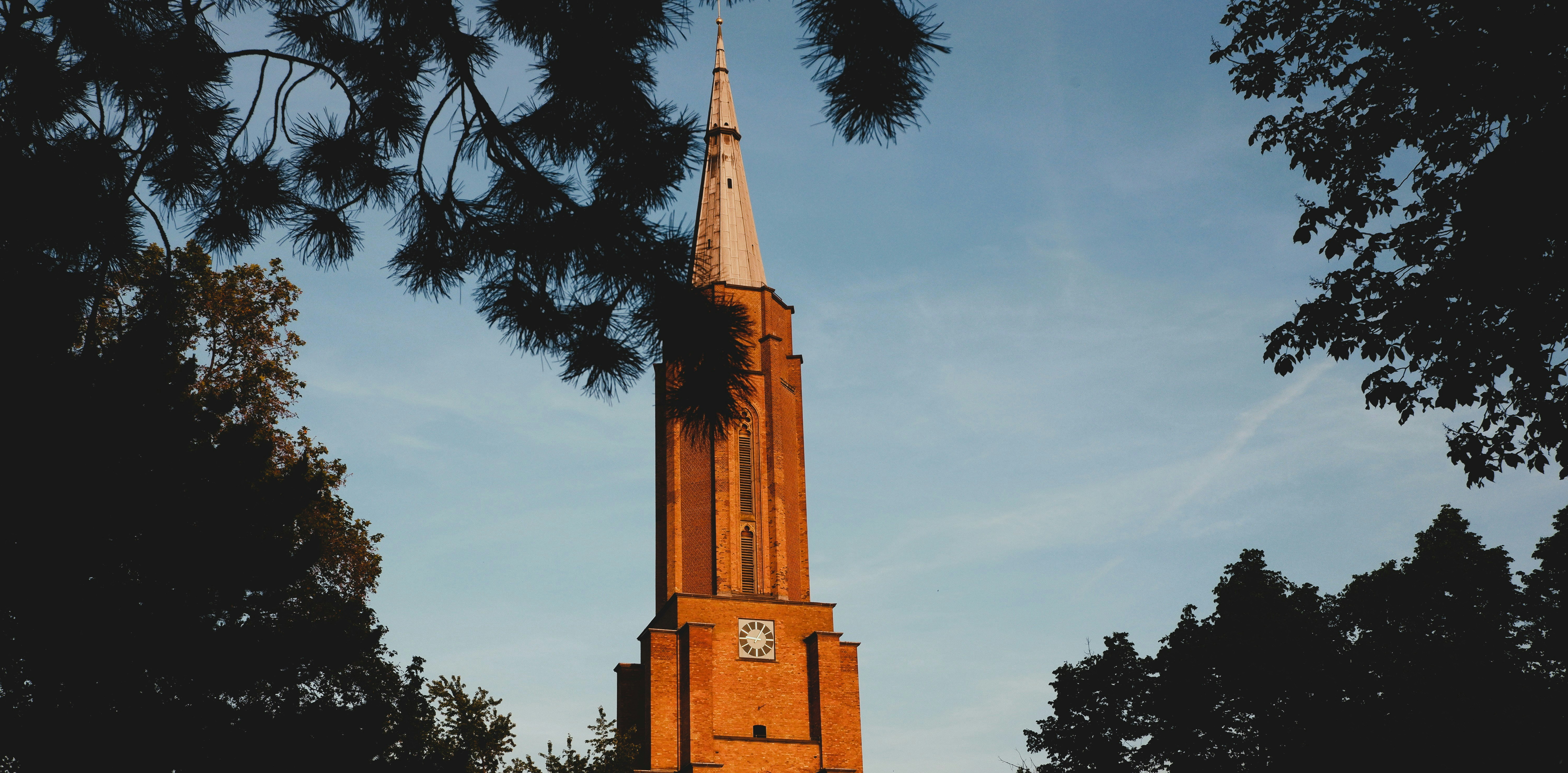 Chiming Tower Rising Amid Tree Canopy