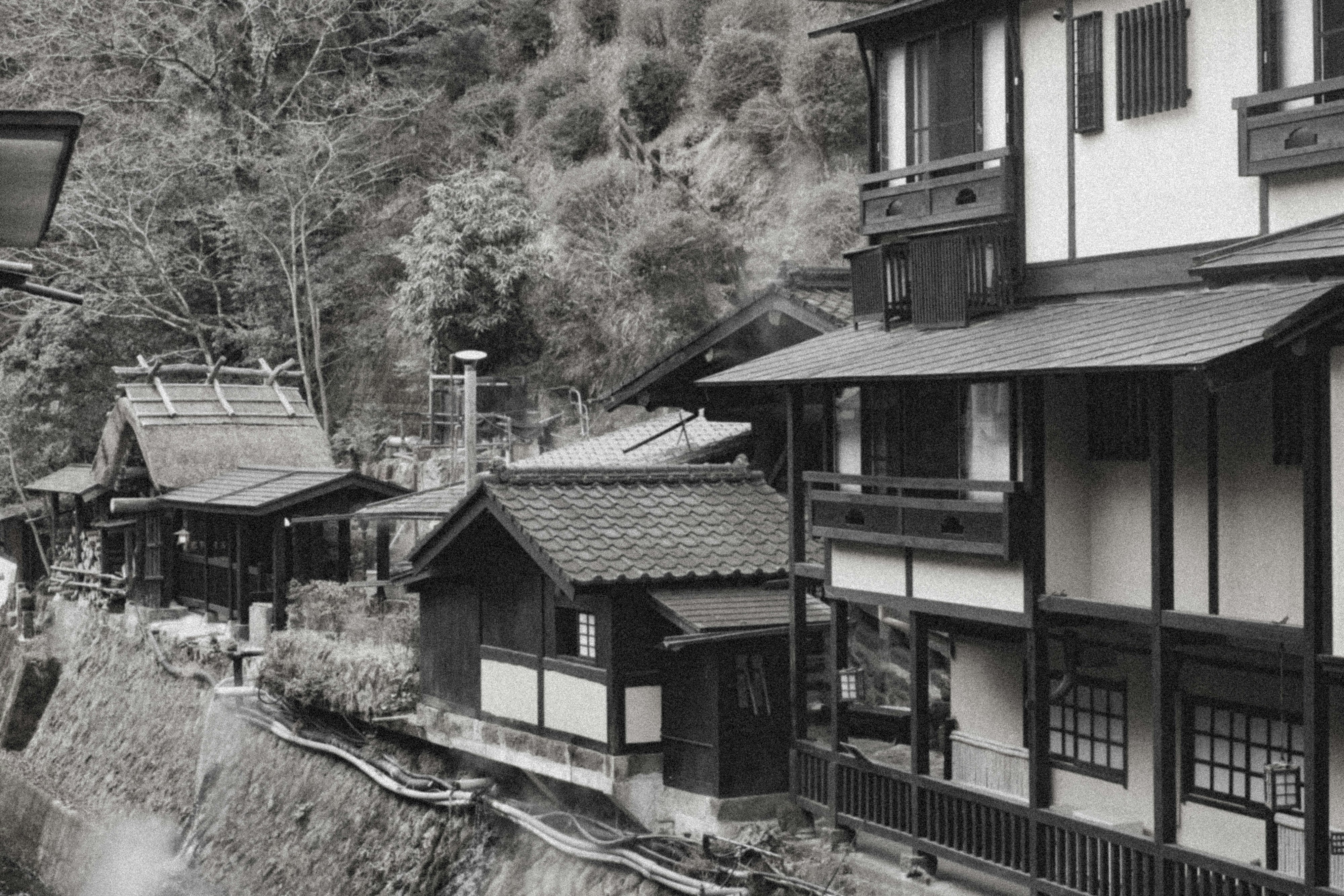 Traditional Japanese Village Ridge: Black-and-White Quiet on the Sloped Waterfront
