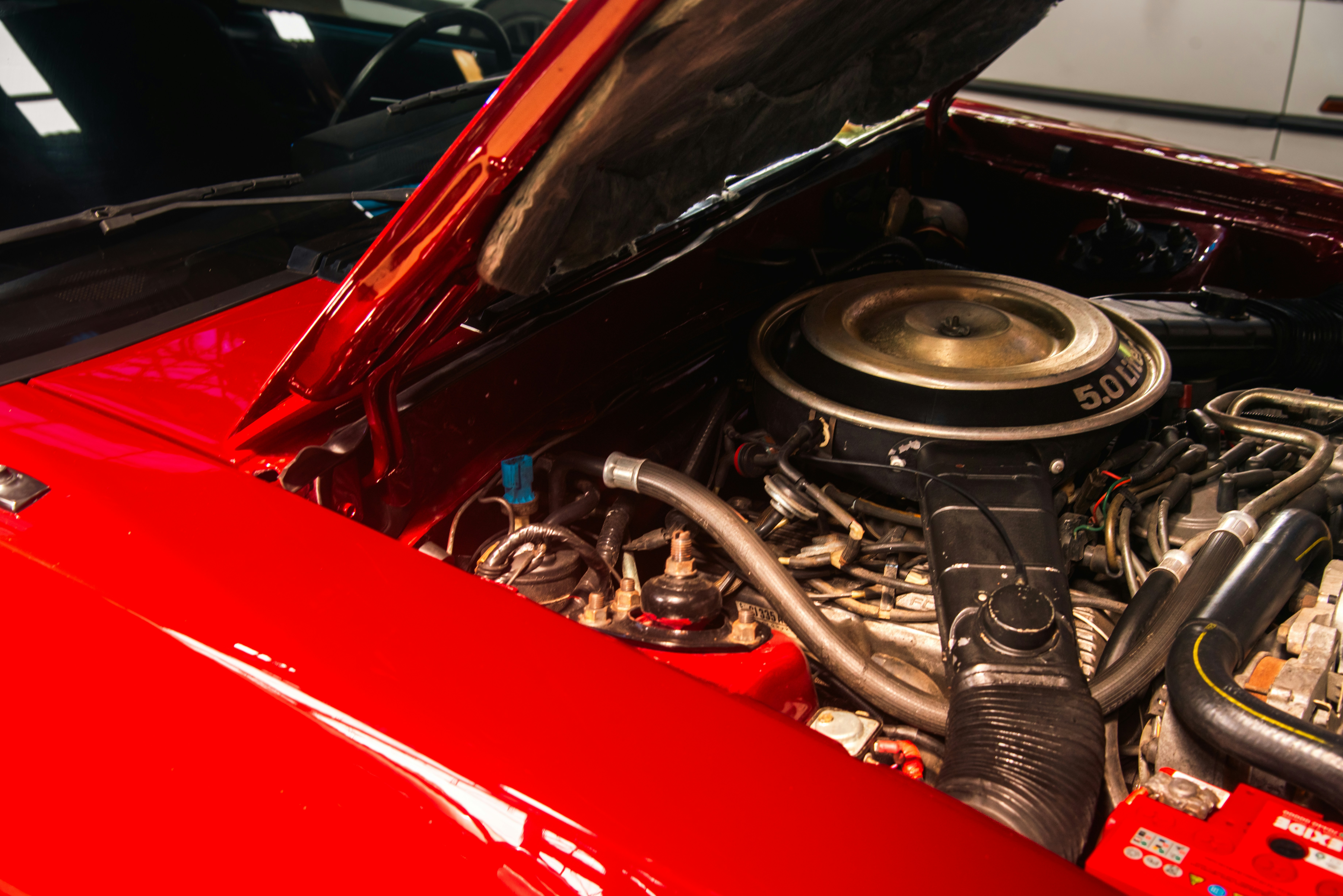 Red Engine Symphony: A Close-Up Inside a Classic Muscle Hood