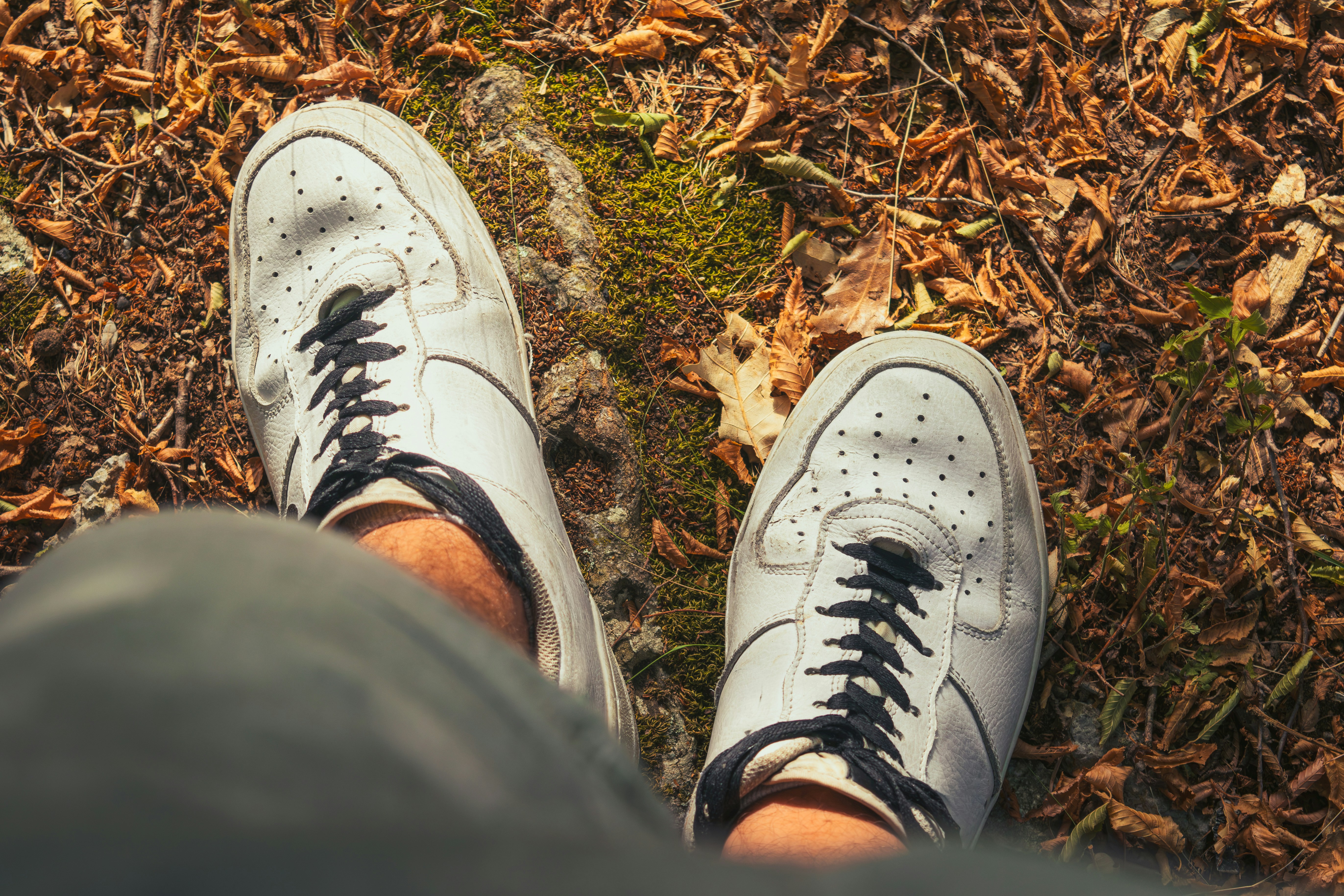 Step Between Ferns: White Sneakers on Autumn Ground