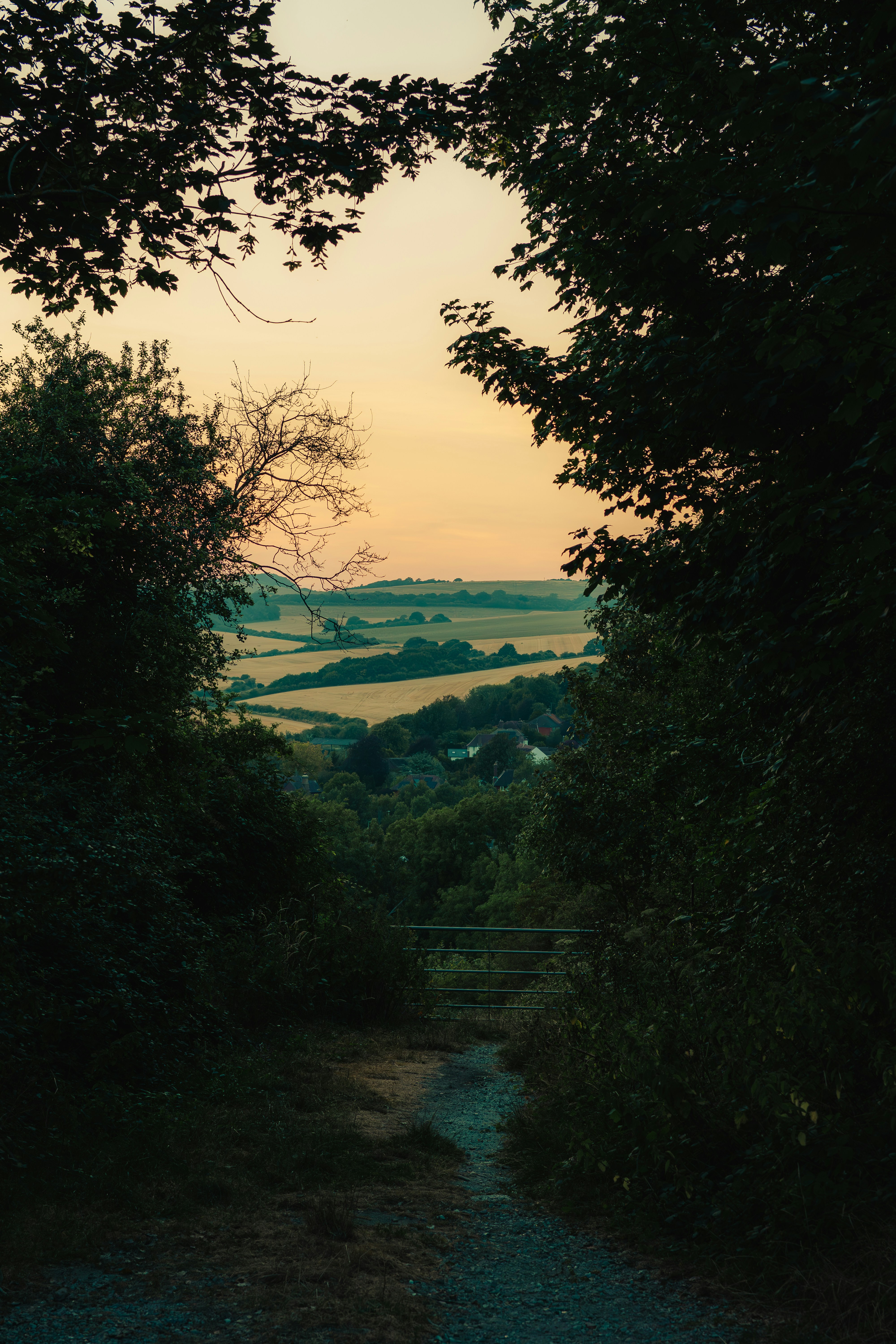Through the Tunnel of Trees to the Open Valley