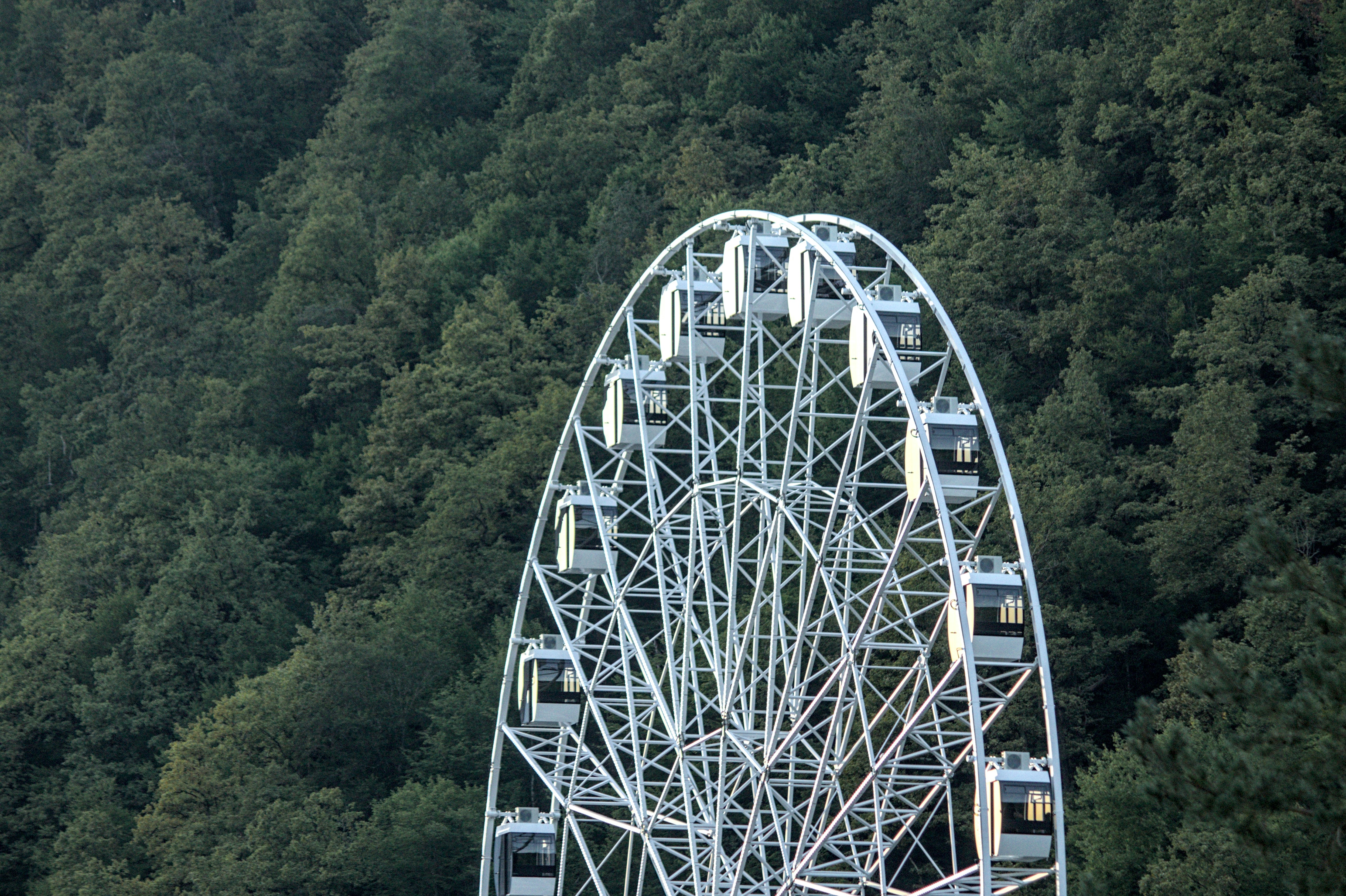 Ferris Wheel Cresting the Forest
