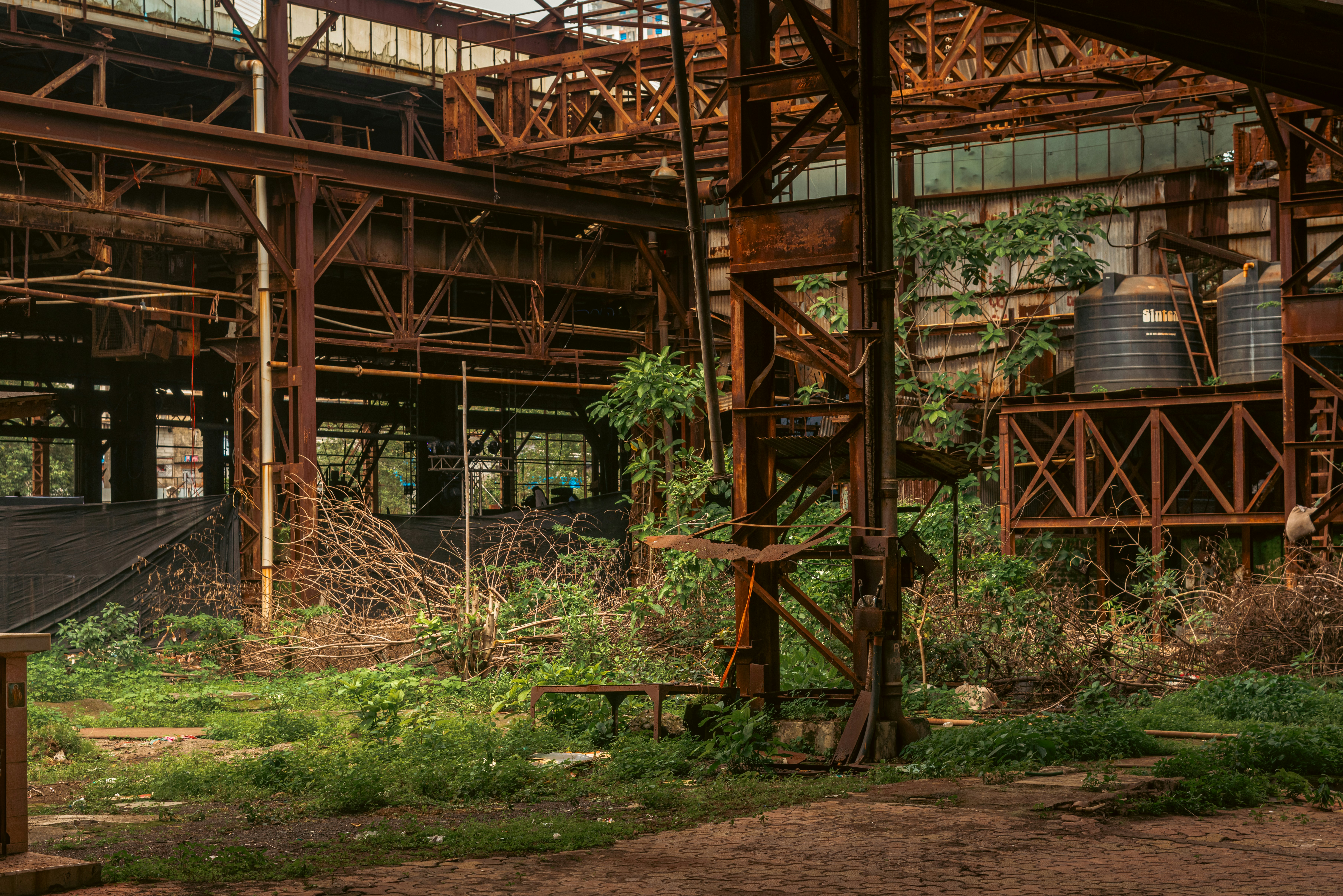 Rust and Plants: An Abandoned Plant Hall Reclaims Its Memory