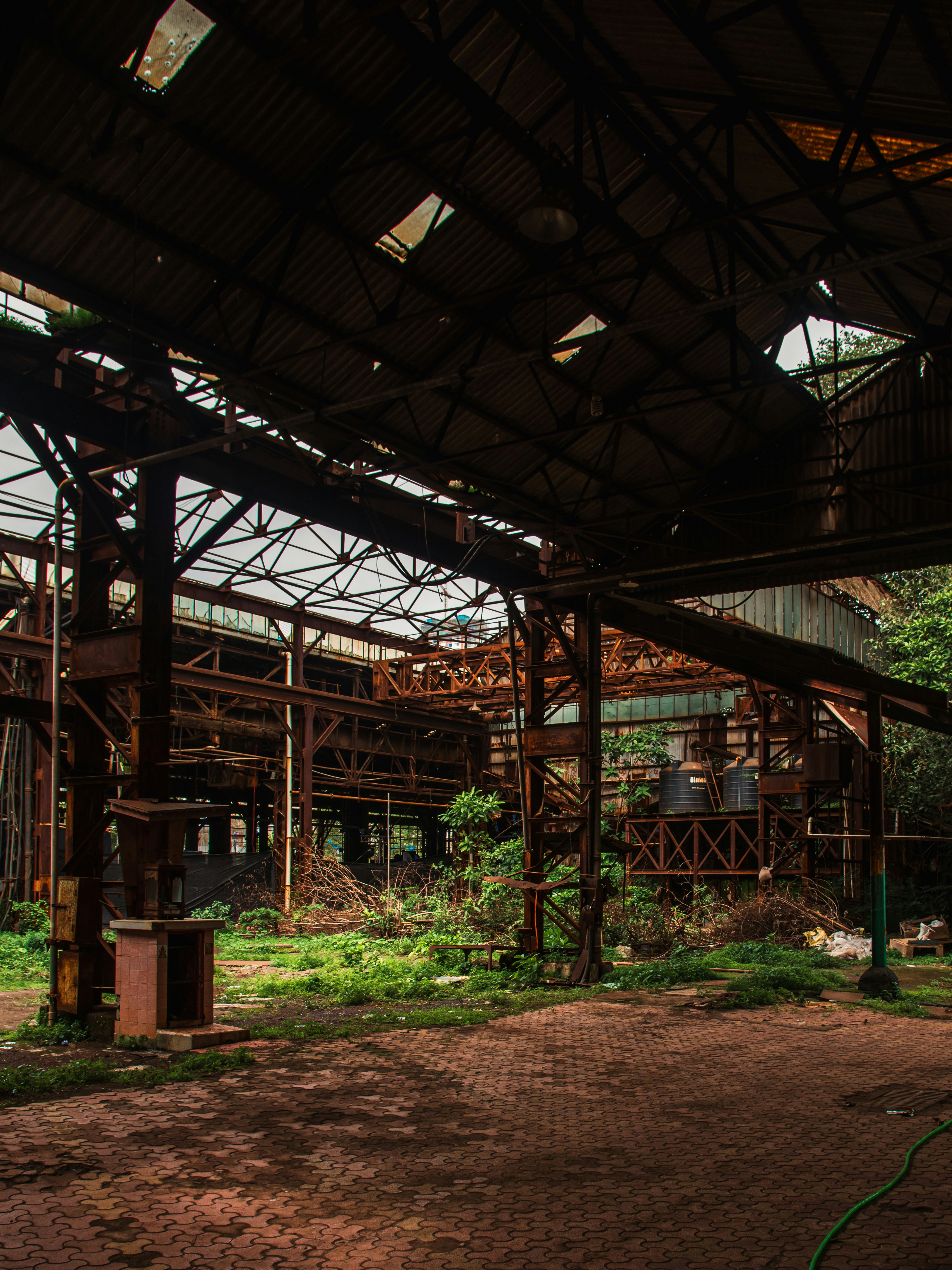 Abandoned Workshop: Iron Skeletons and Quiet Overgrowth