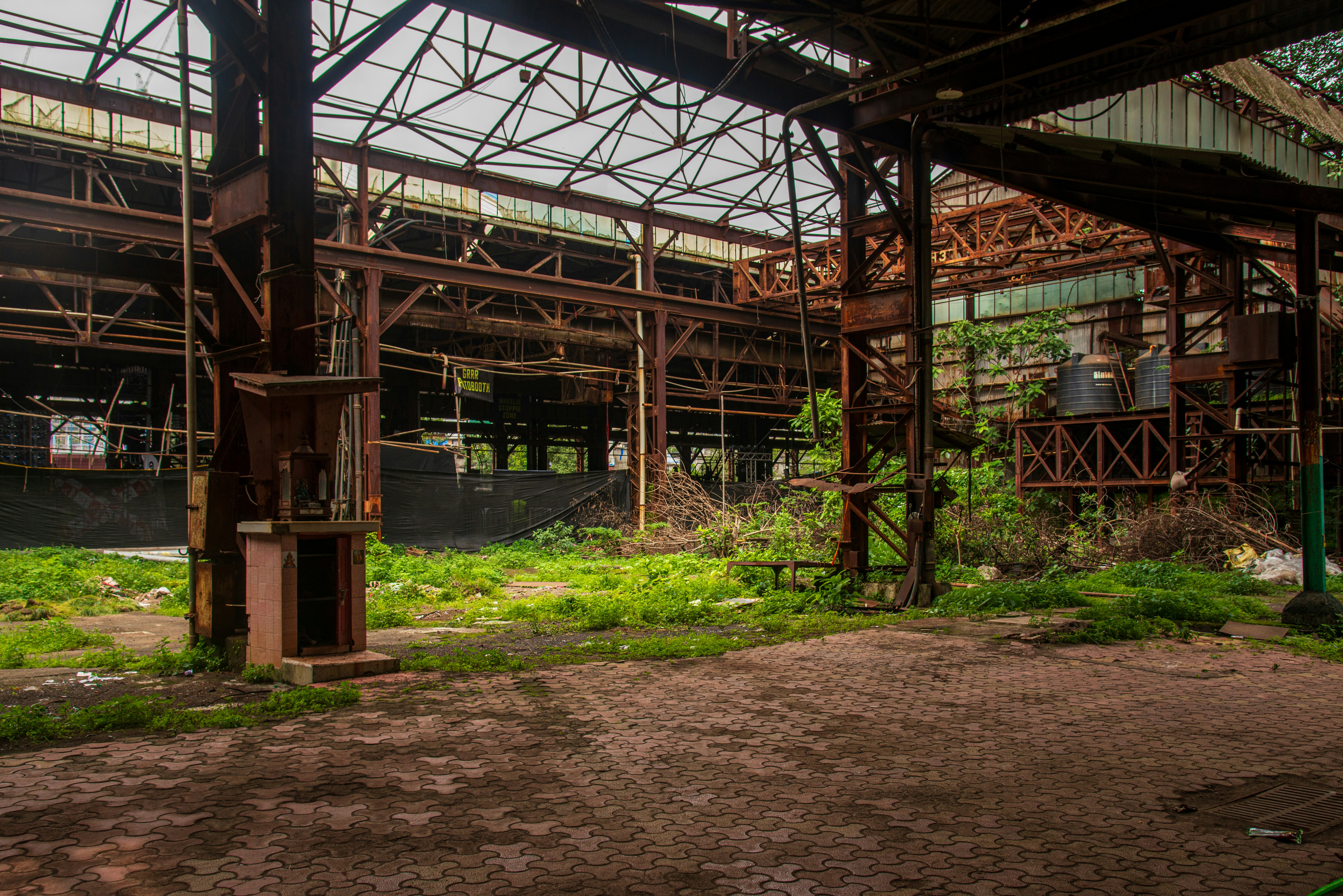 Rust, Rails and Regrowth: An Abandoned Industrial Oasis
