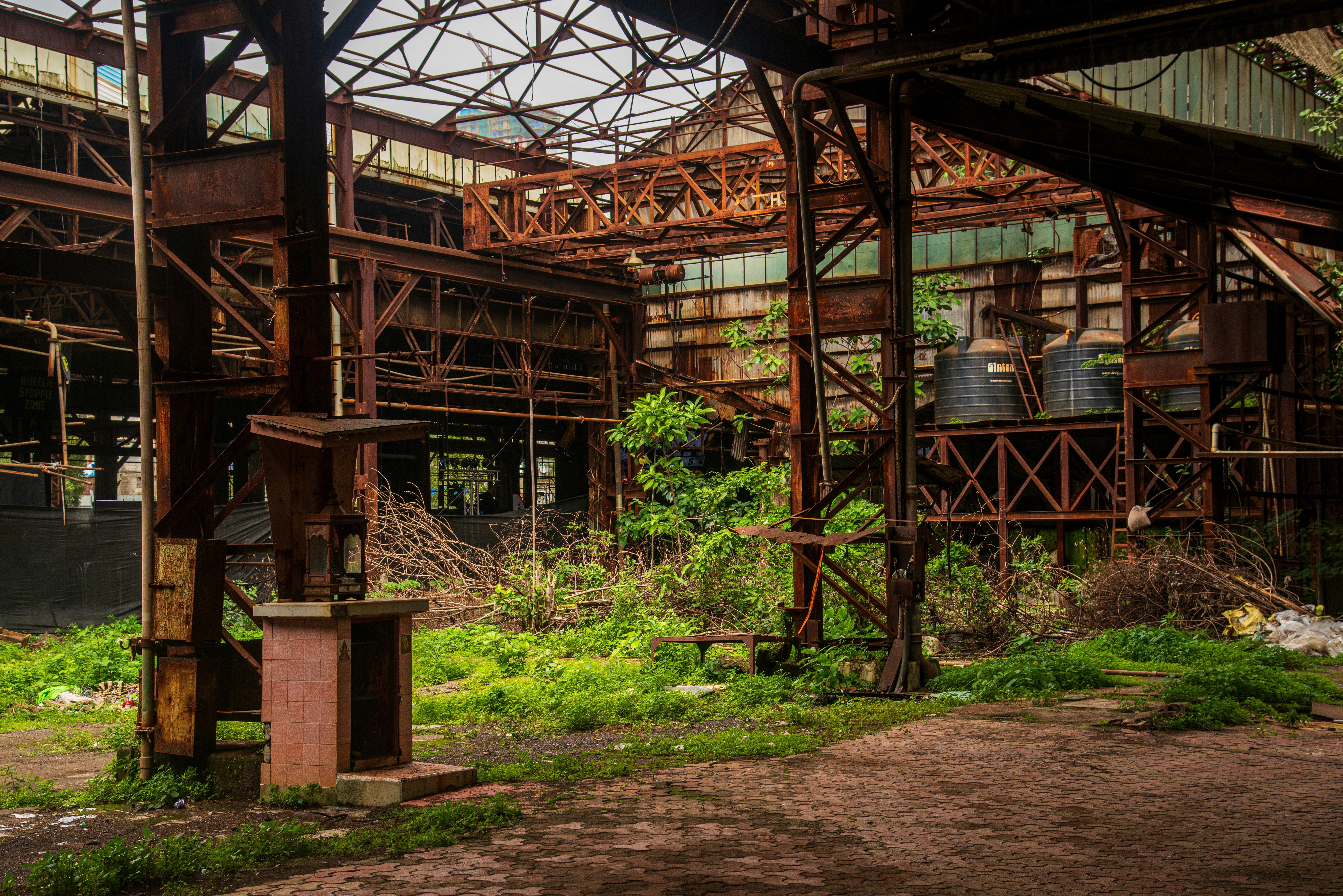 Overgrown Machinery: Quiet Rust in an Abandoned Factory Yard