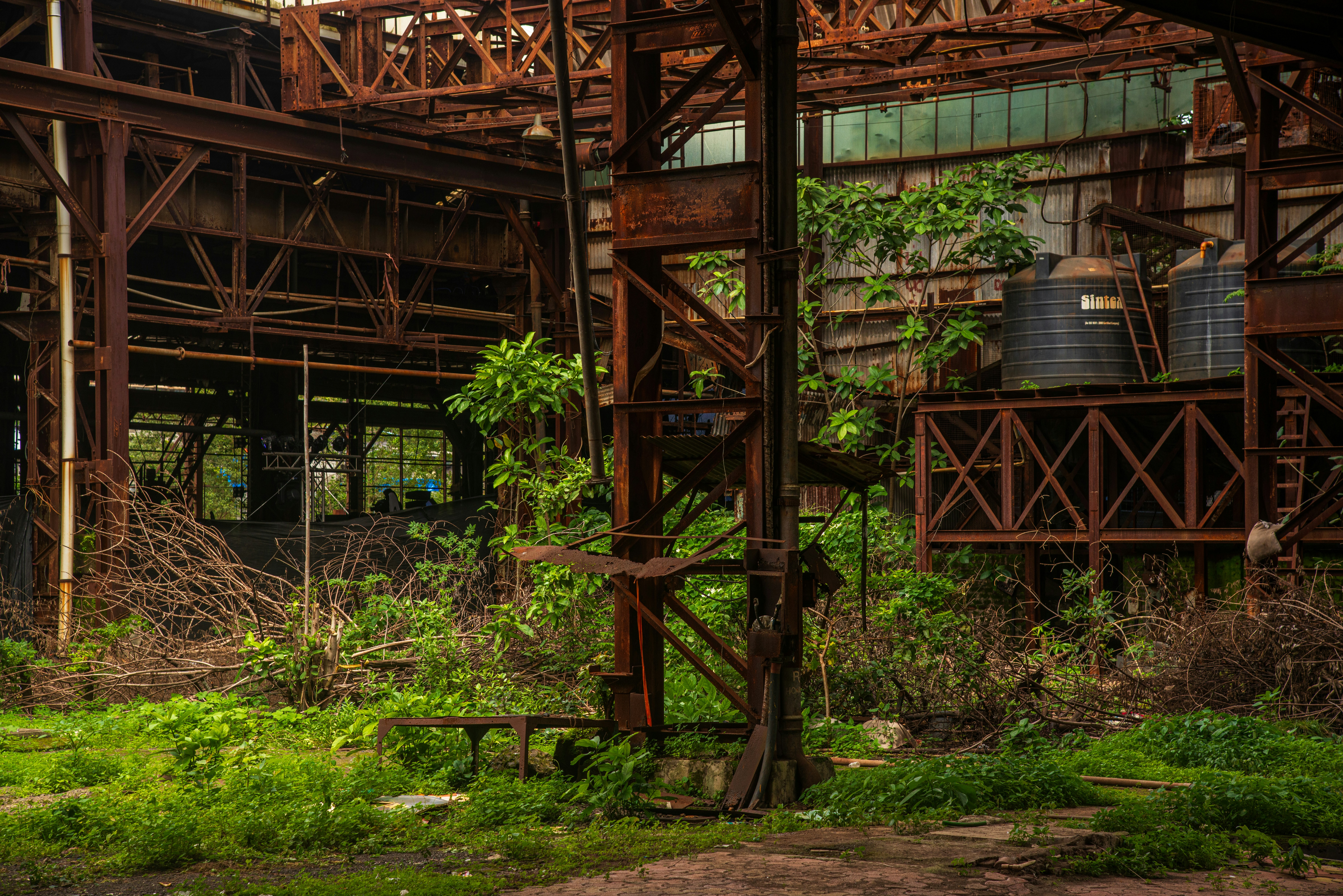 Overgrown Structure: Quiet Reclaim of Rusted Machinery