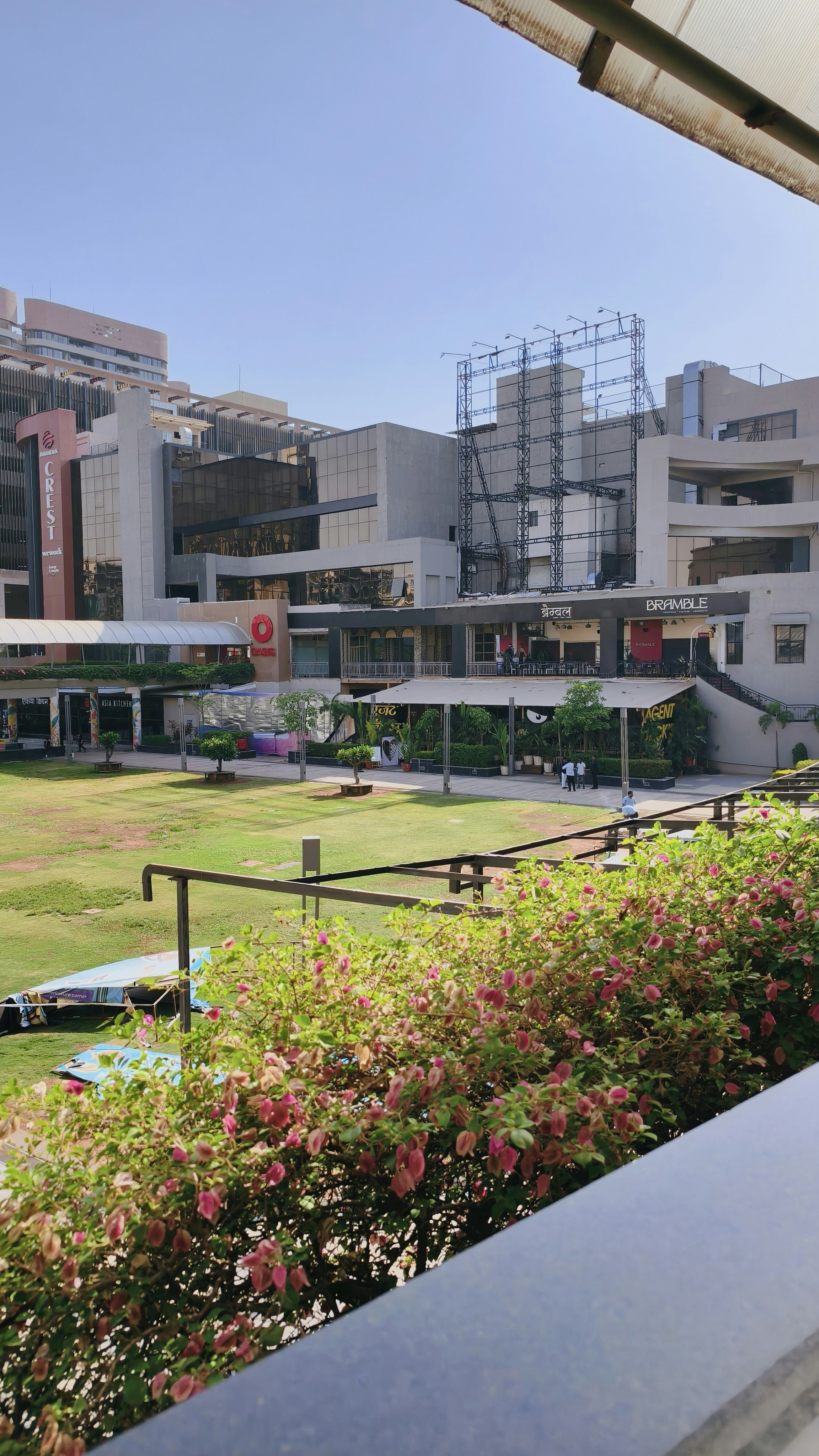 Sunlit campus courtyard with pink flowering shrubs in the foreground, modern buildings and storefronts in the midground, under a clear blue sky.