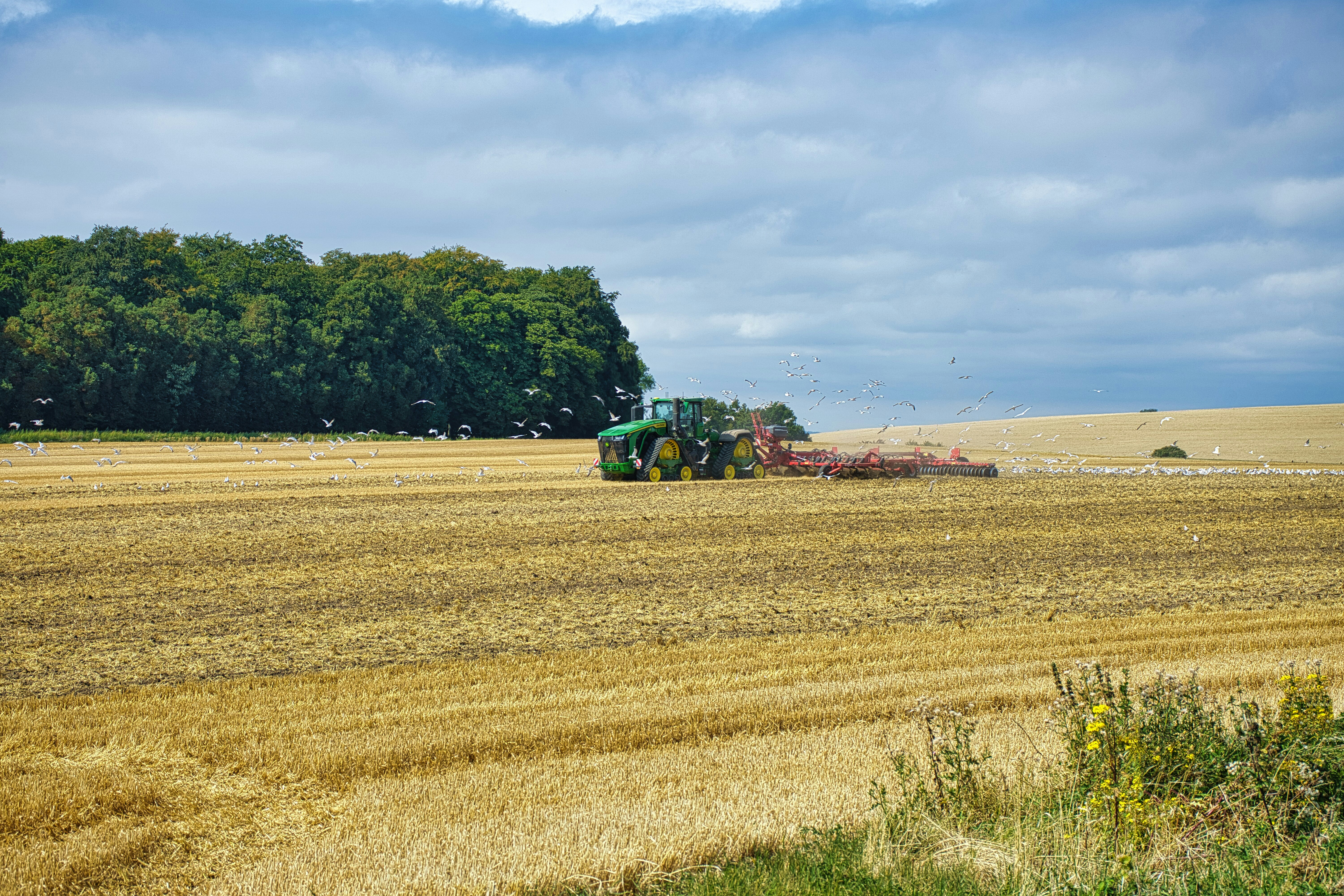 Harvest Roadtrain: a Green Tractor at Midday in a Vast Field