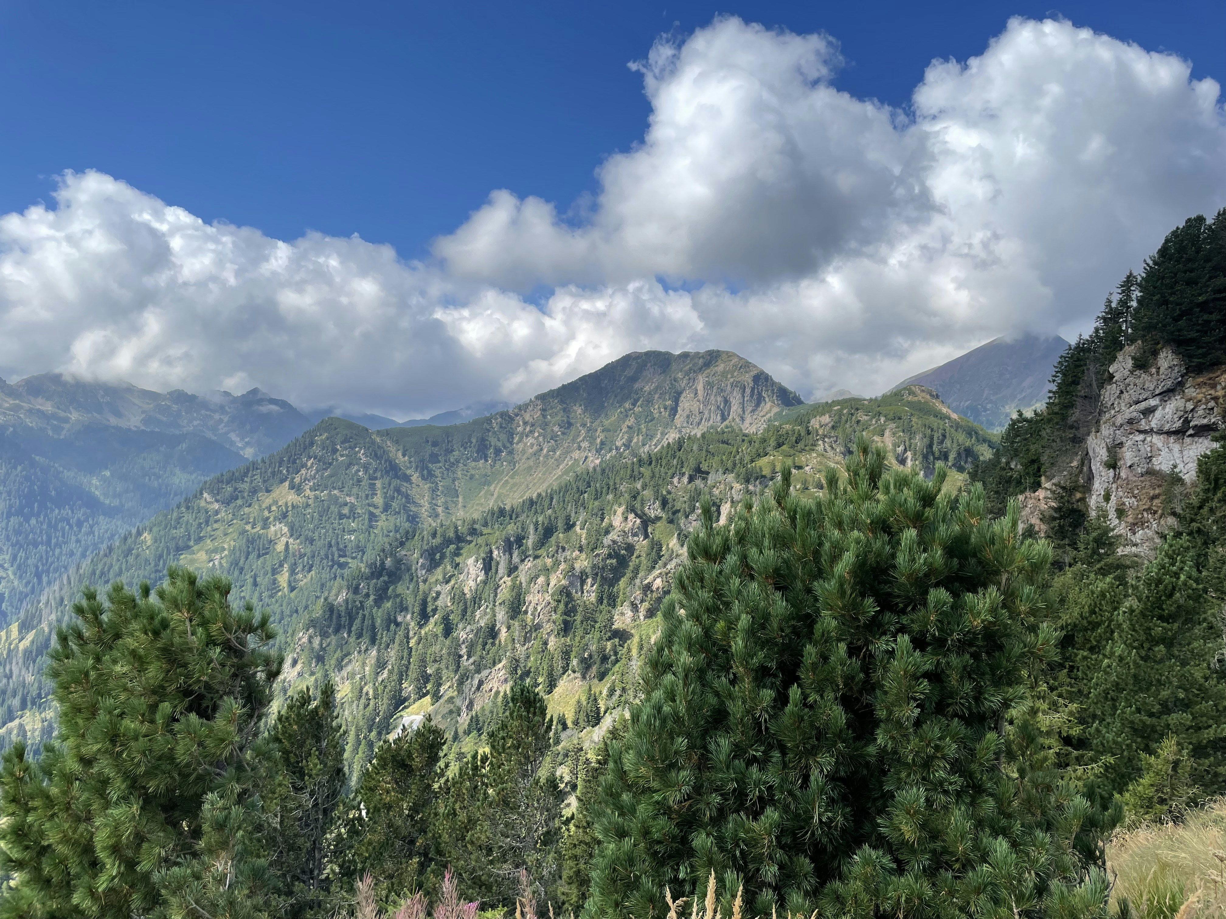 Vast mountain ridge with pine trees under a bright, partly cloudy sky; a landscape shot highlighting forested slopes and distant peaks.