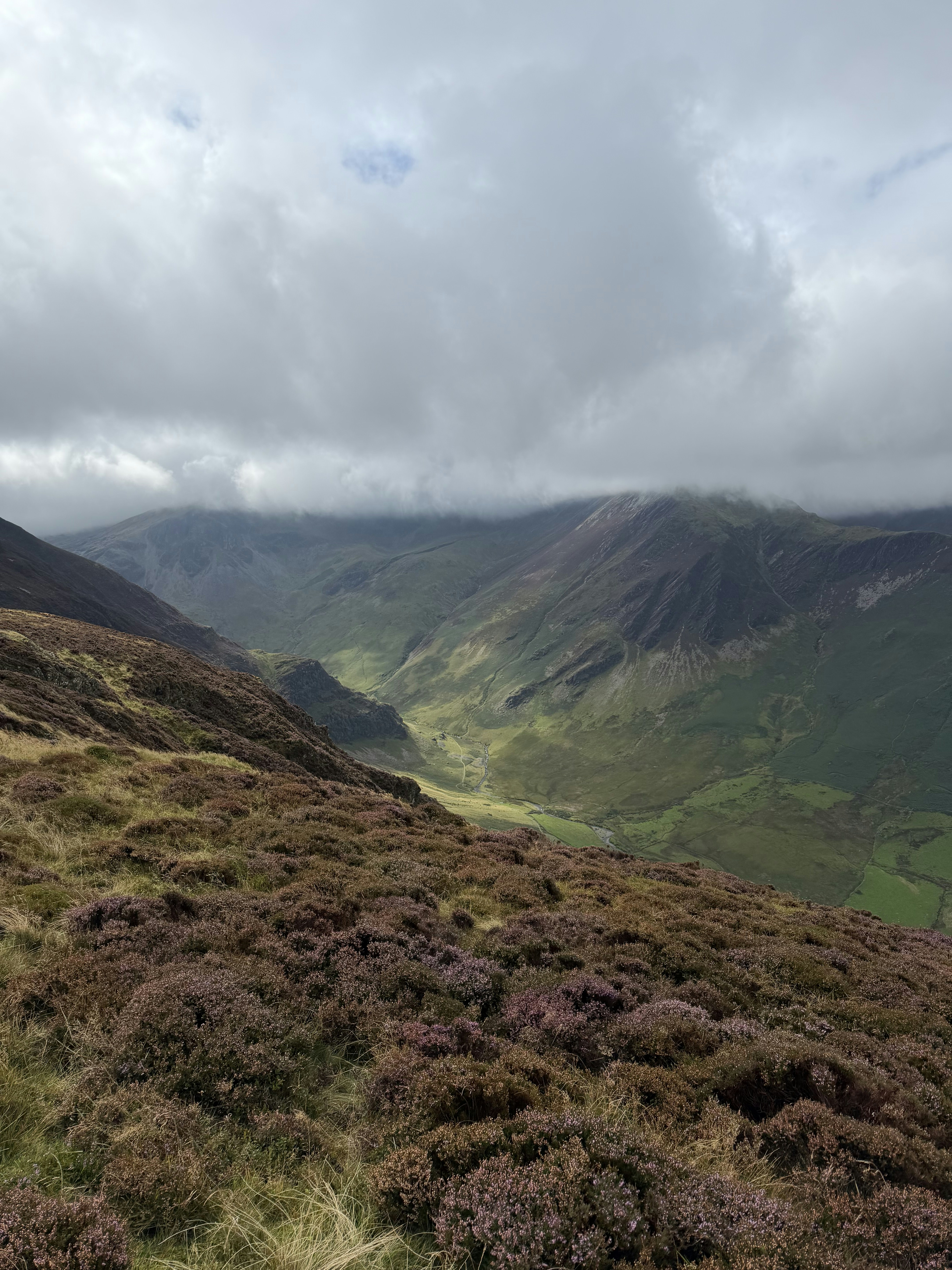 Valley Verge: Heathered Moor at Cloud-Wated Ridge
