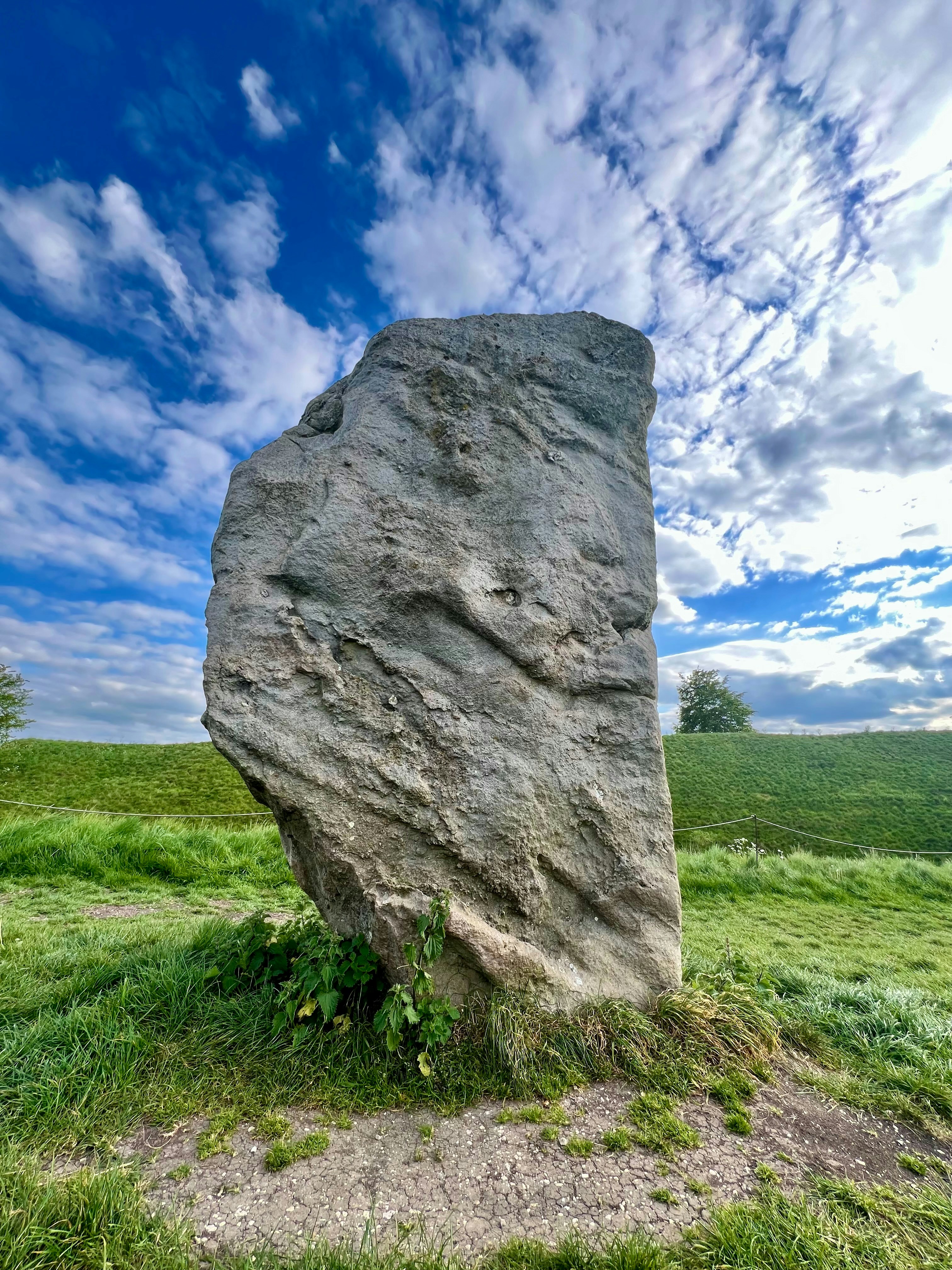Standing Sentinel: A Weathered Stone in a Green Landscape