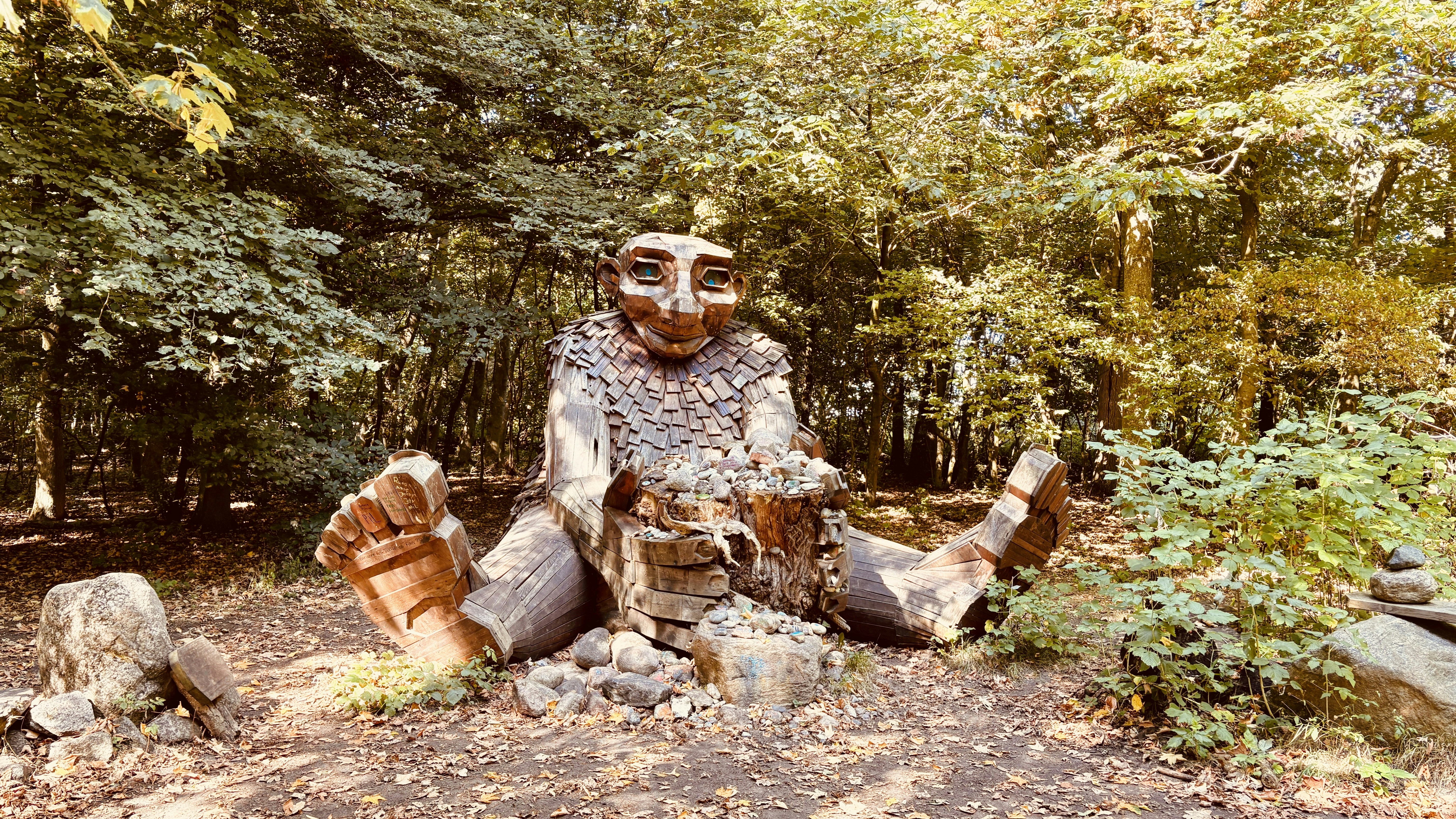 Forest Giant: A Mossy Wooden Titan Resting Between Trees
